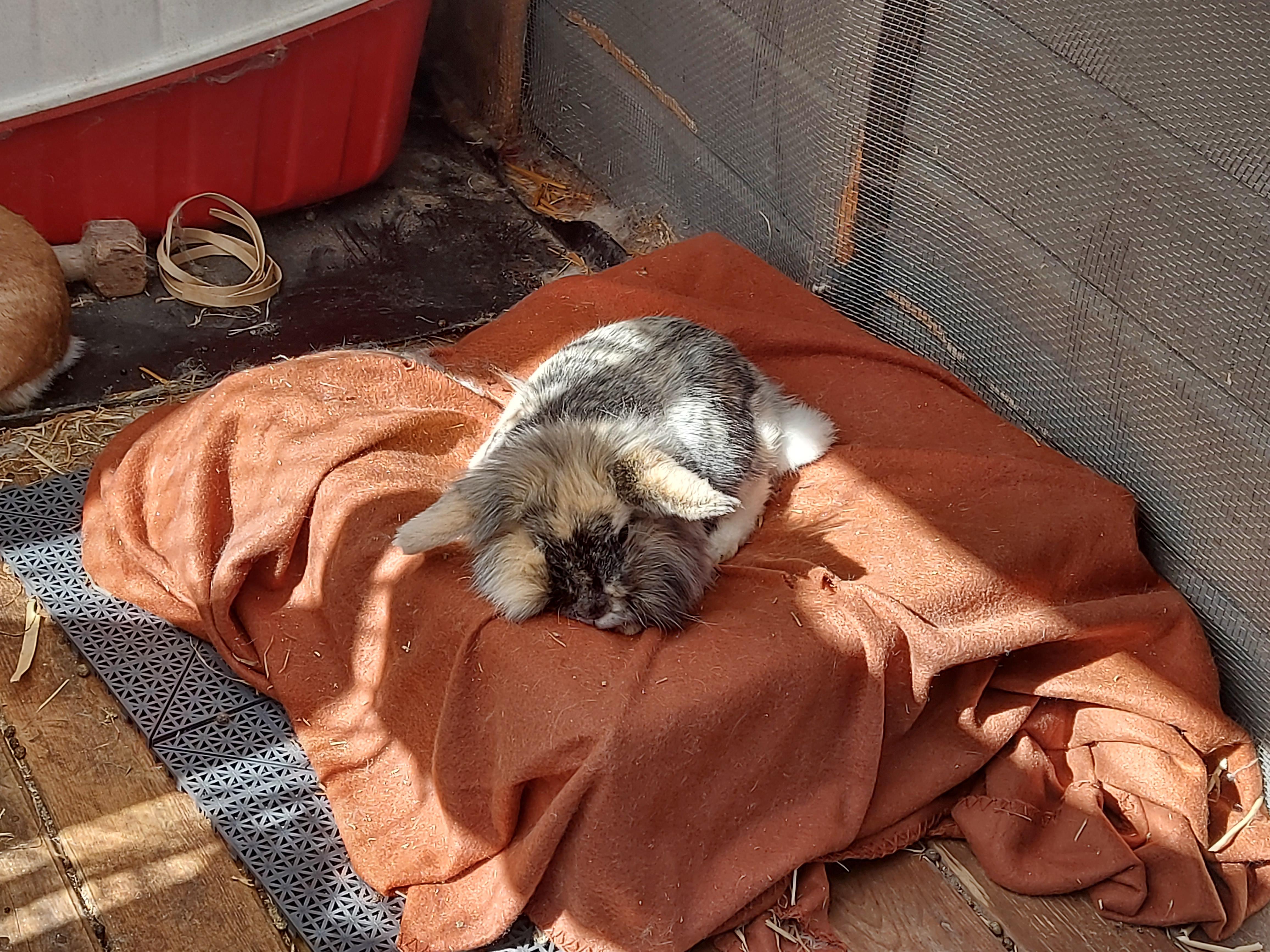 Finally Summer. | Scrolller