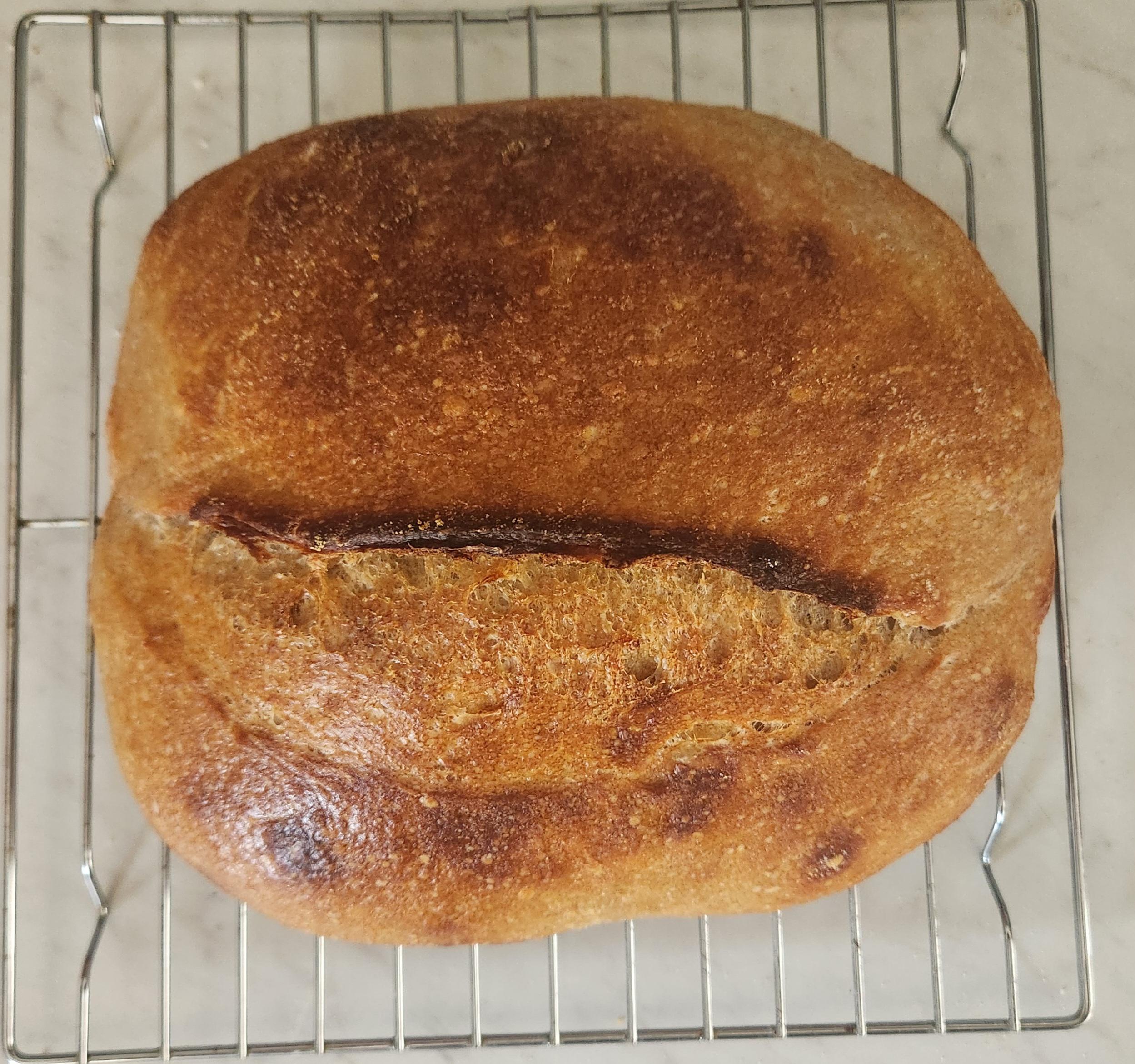 First Sourdough Loaf | Scrolller