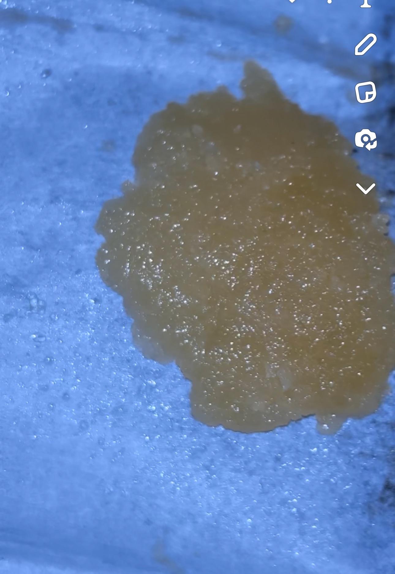 Discover more like Trees: Cherry latto & gmo😋 and Related Content | Scrolller