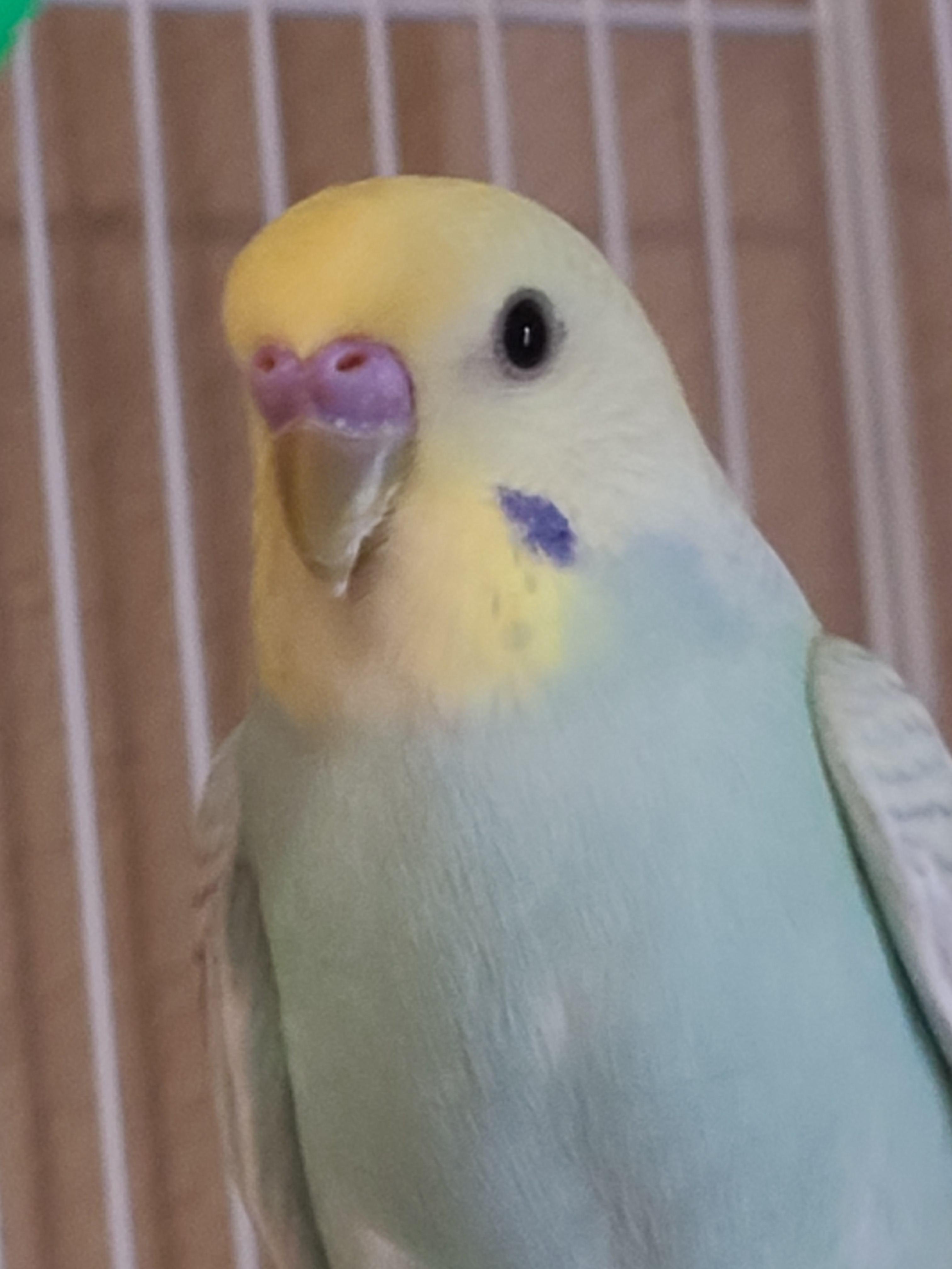 What is his gender? | Scrolller