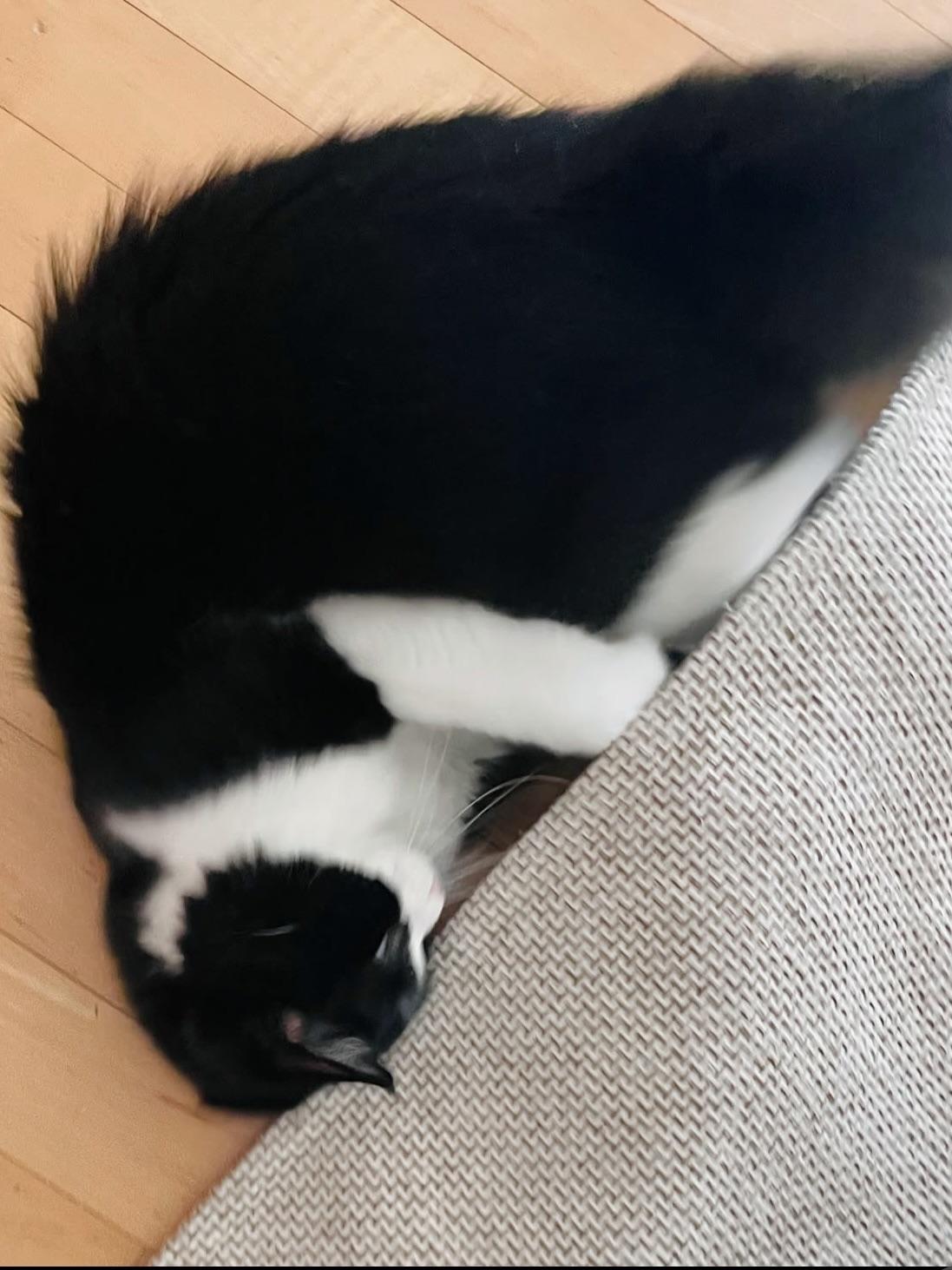 Before, during, and after the attack | Scrolller