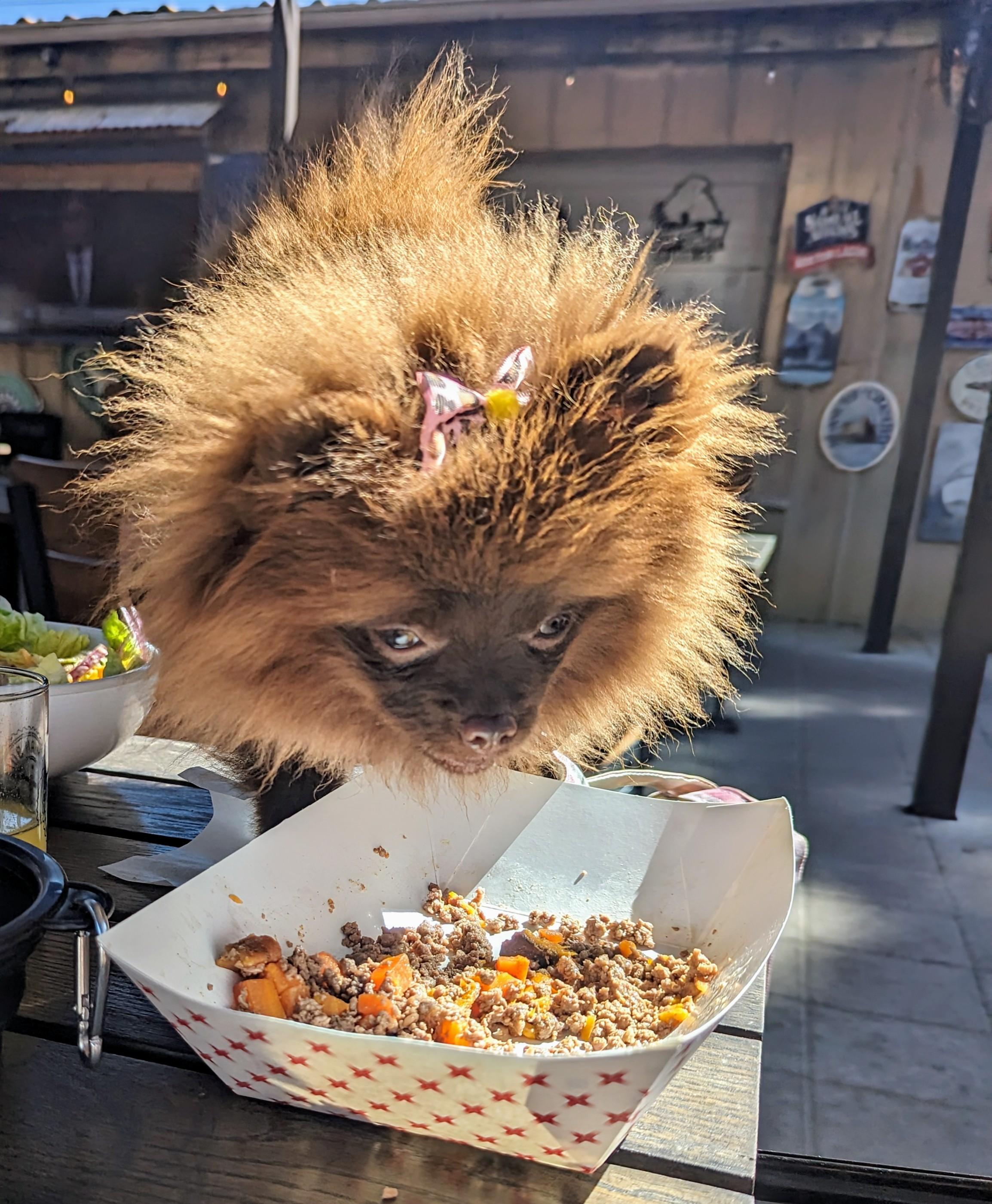 Our first restaurant ordered meal | Scrolller