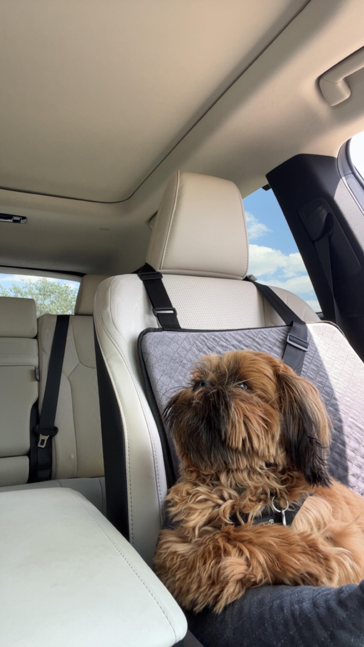 Feel like we're really failing out 8mo old with potty training | Scrolller