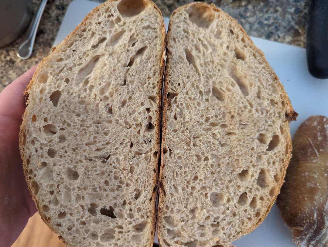 Sourdough | Scrolller