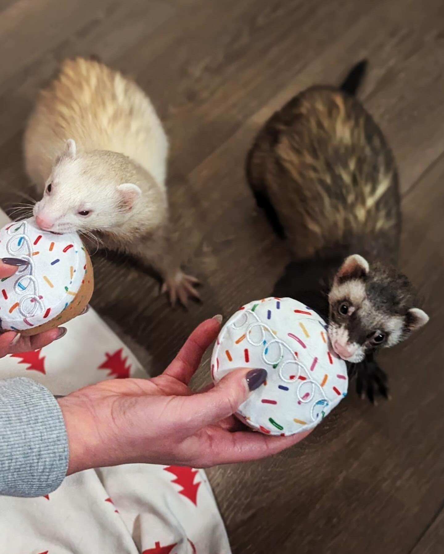 Happy birthday, boiis! | Scrolller