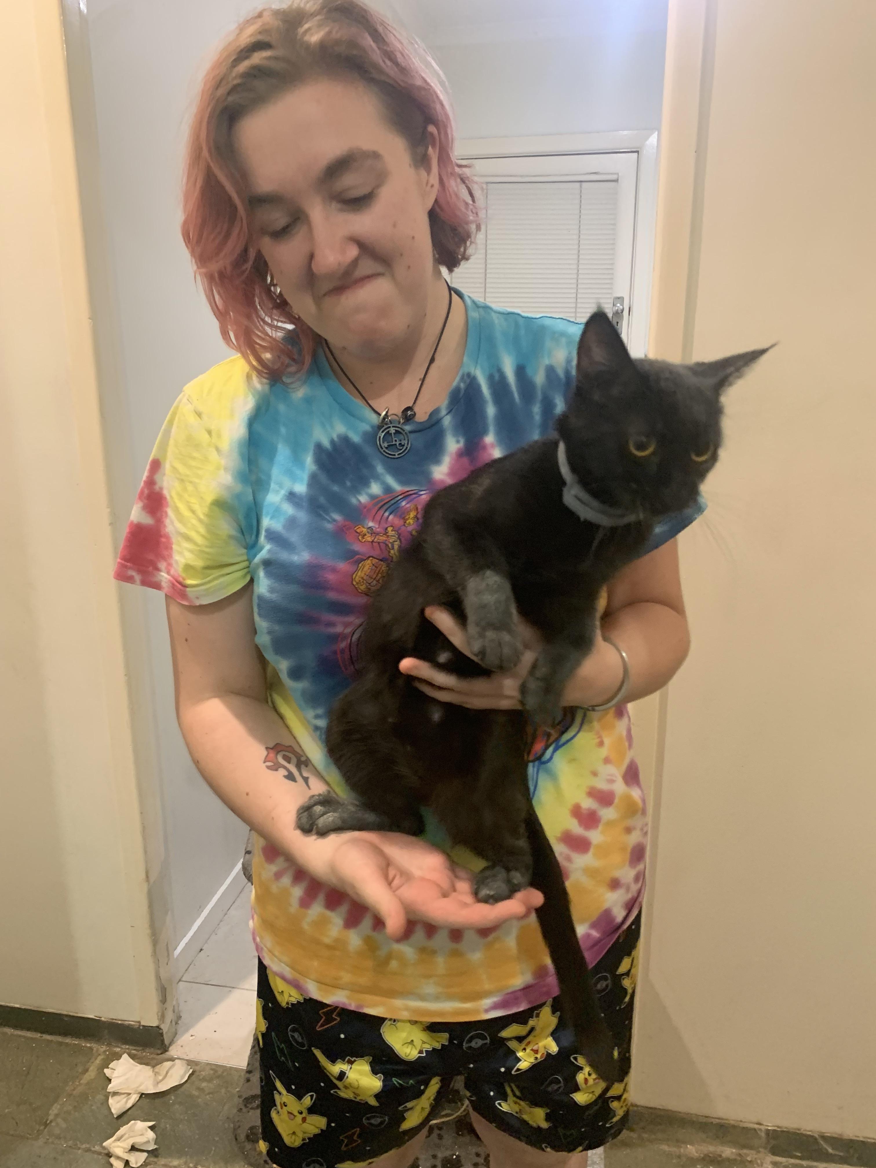 Caught red handed… no .. caught dust pawed | Scrolller