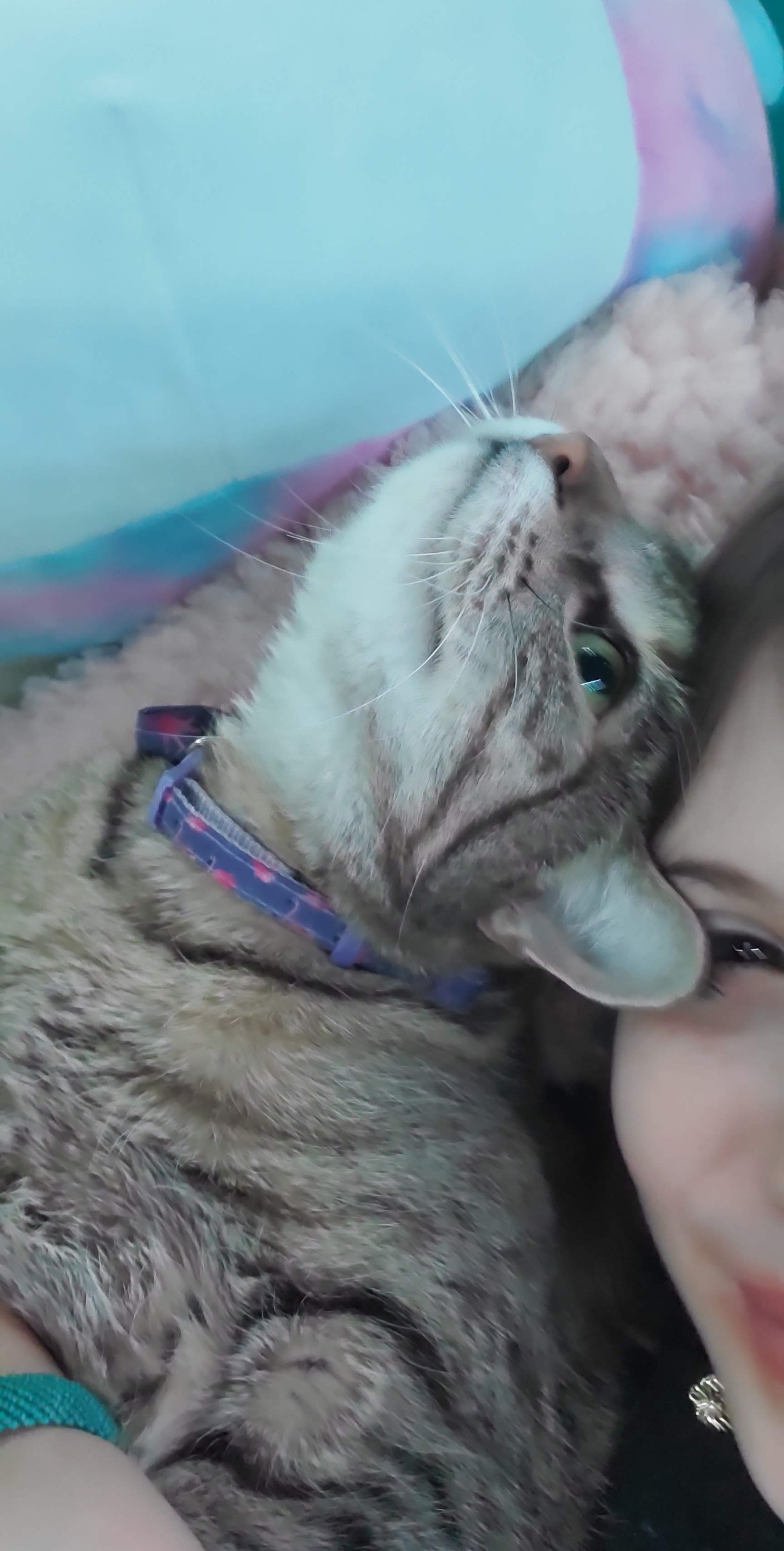 Discover more like Aww: All of the animated in my house! (OC) and Related Content | Scrolller