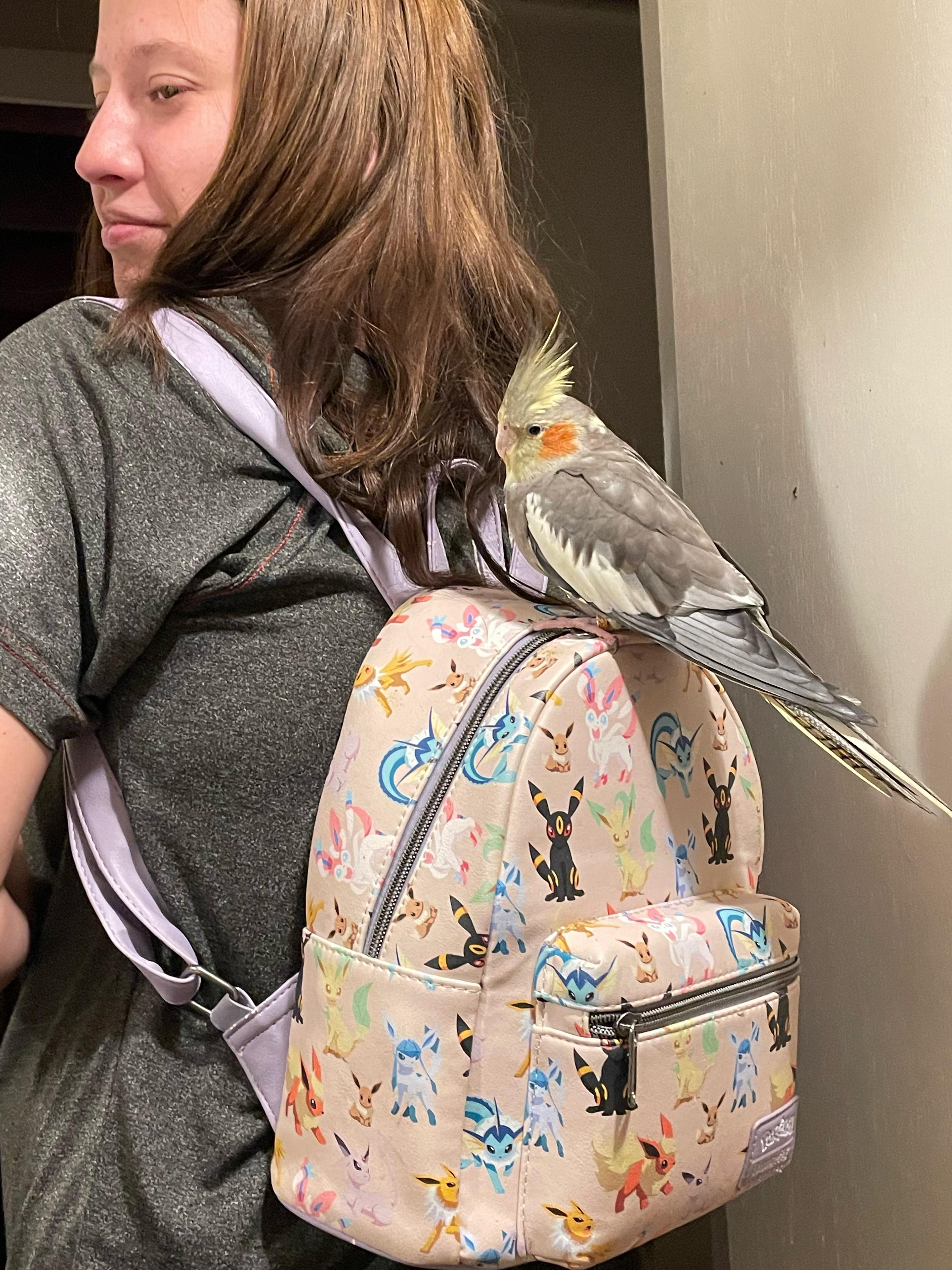 Emotional support bag | Scrolller