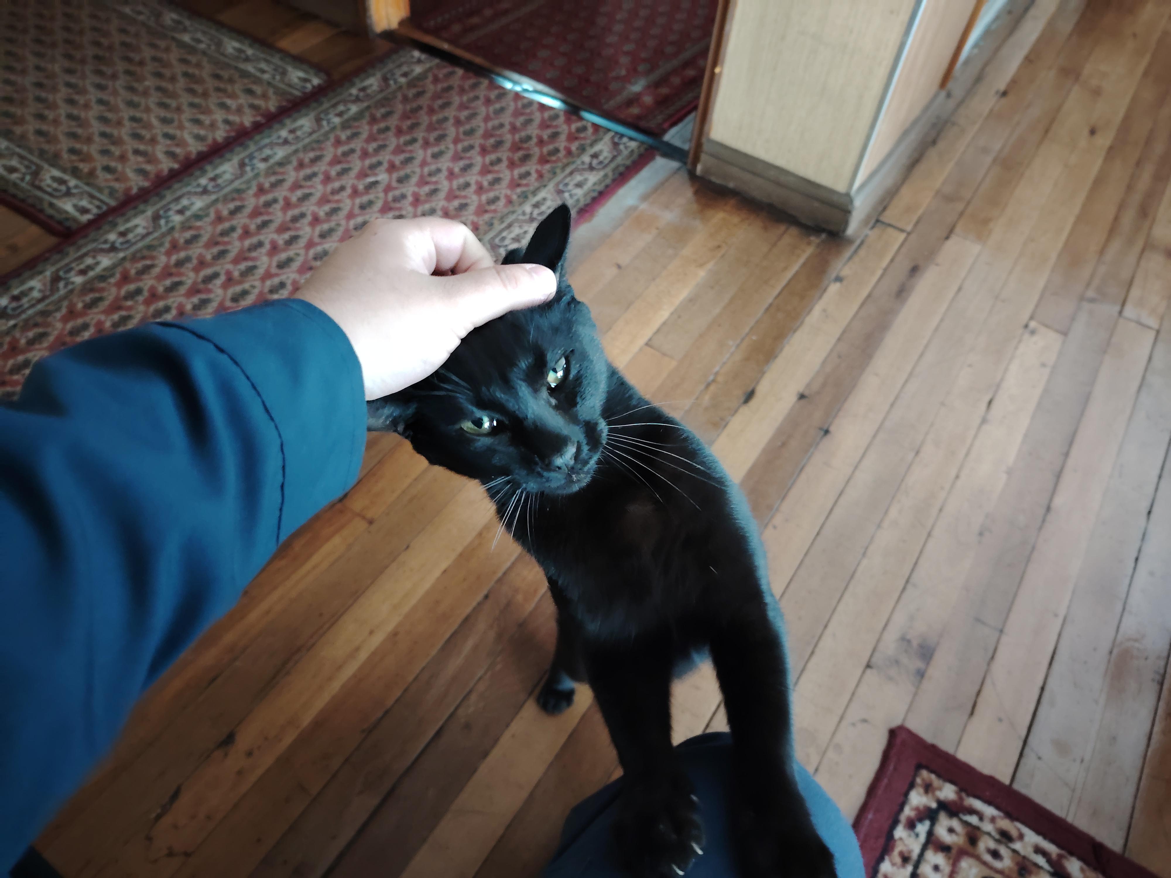 Little void from one of my patients | Scrolller