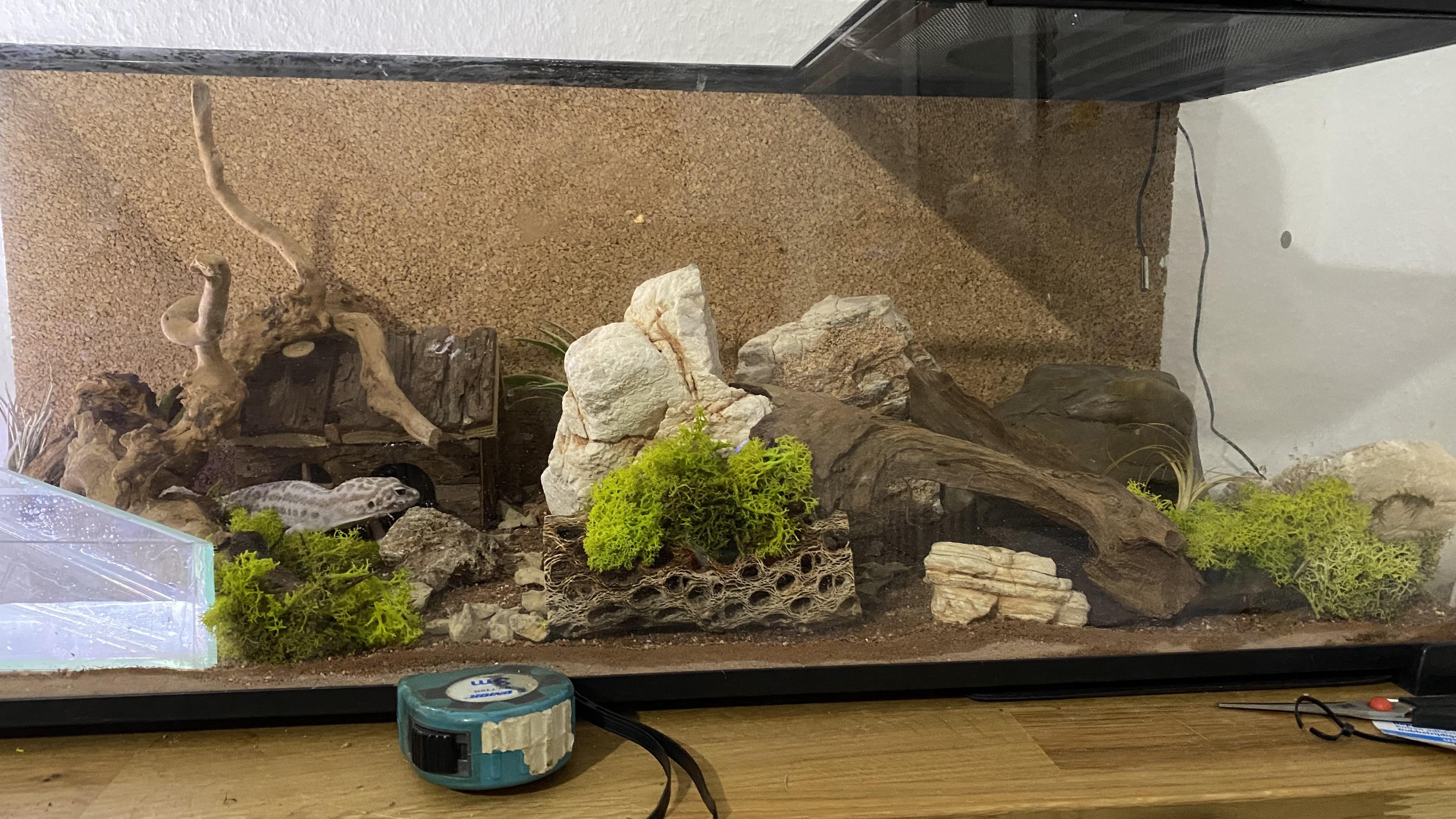 Rate my new setup? Improvements? | Scrolller