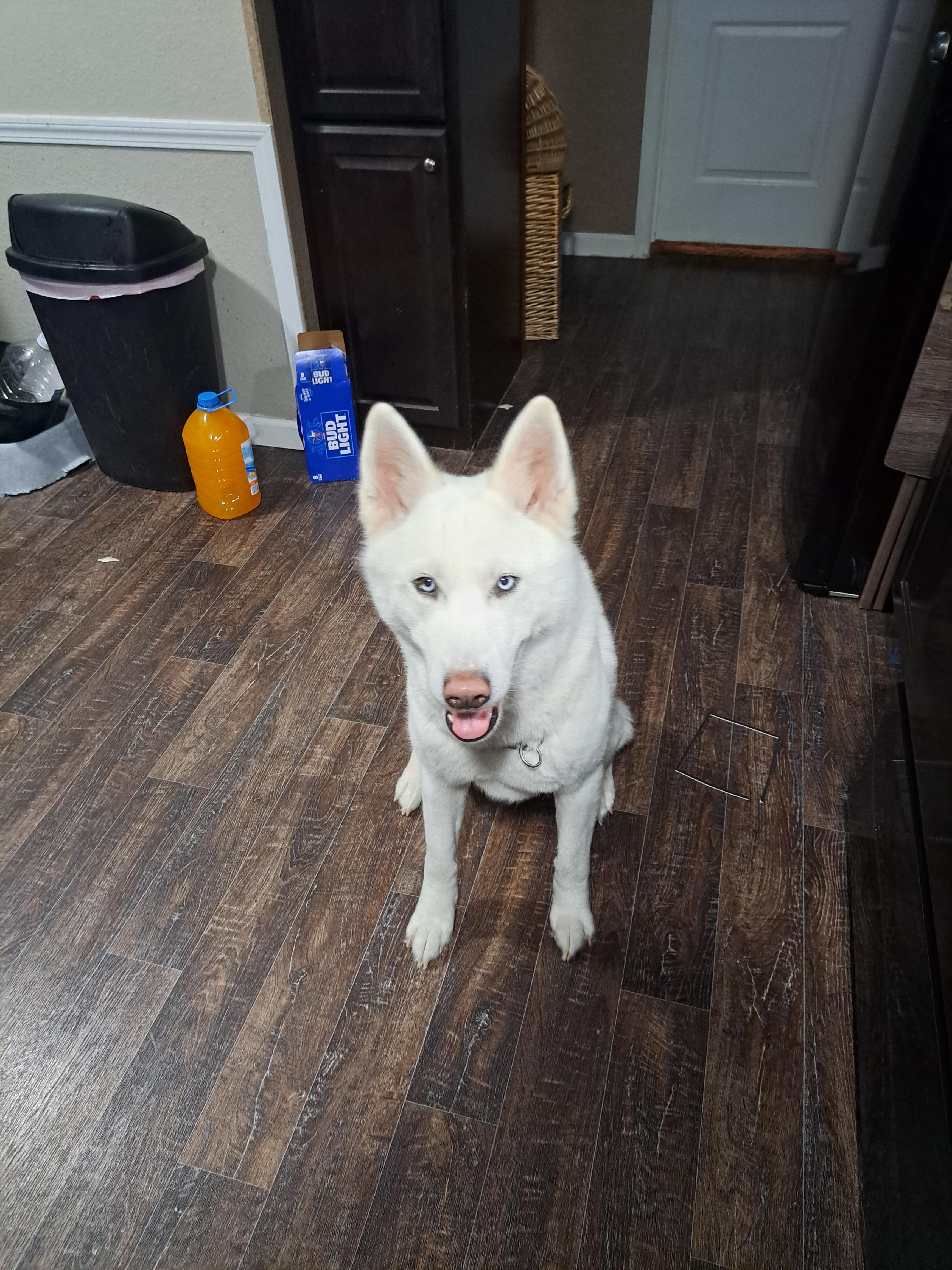 Emergency help | Scrolller