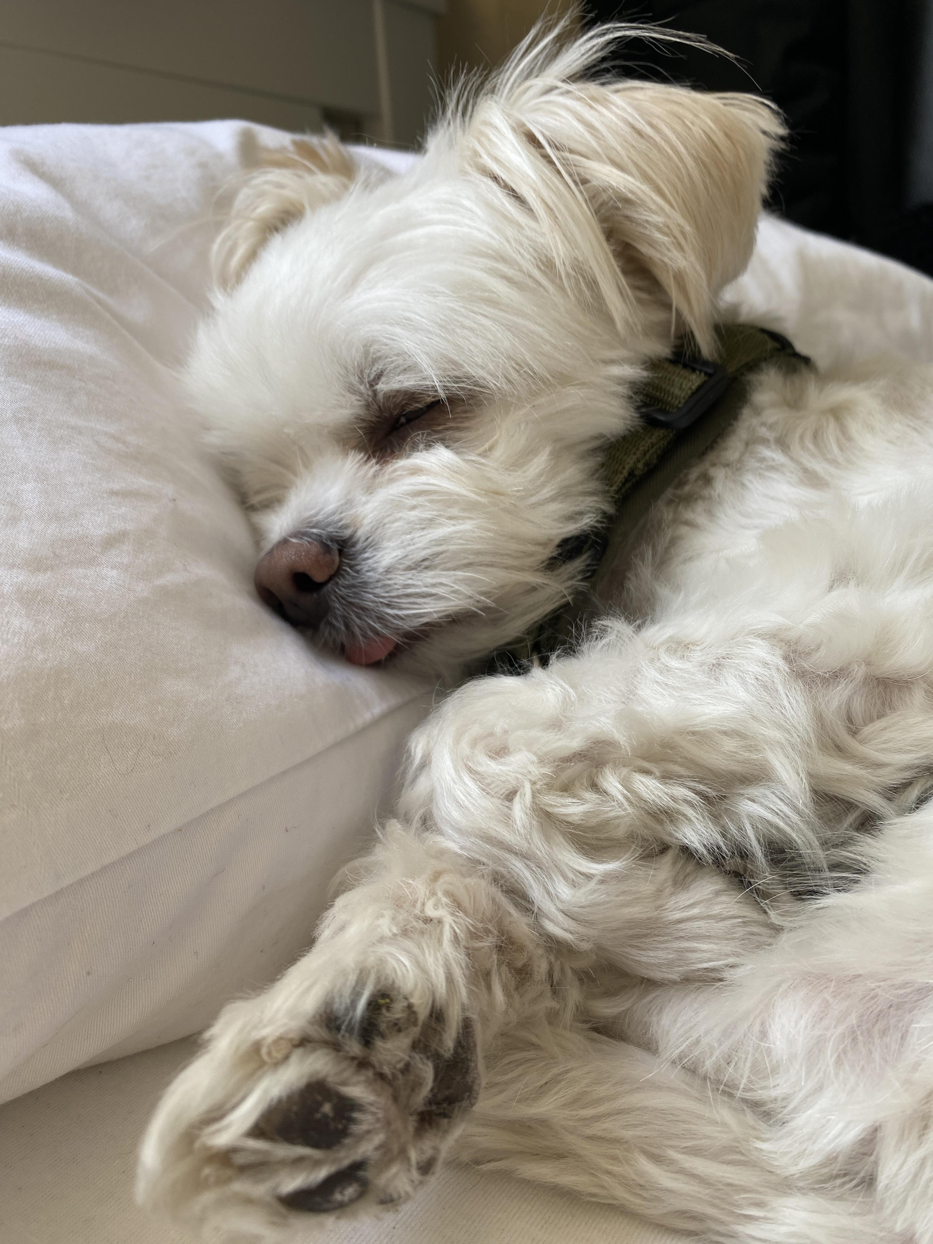 Main character energy | Scrolller