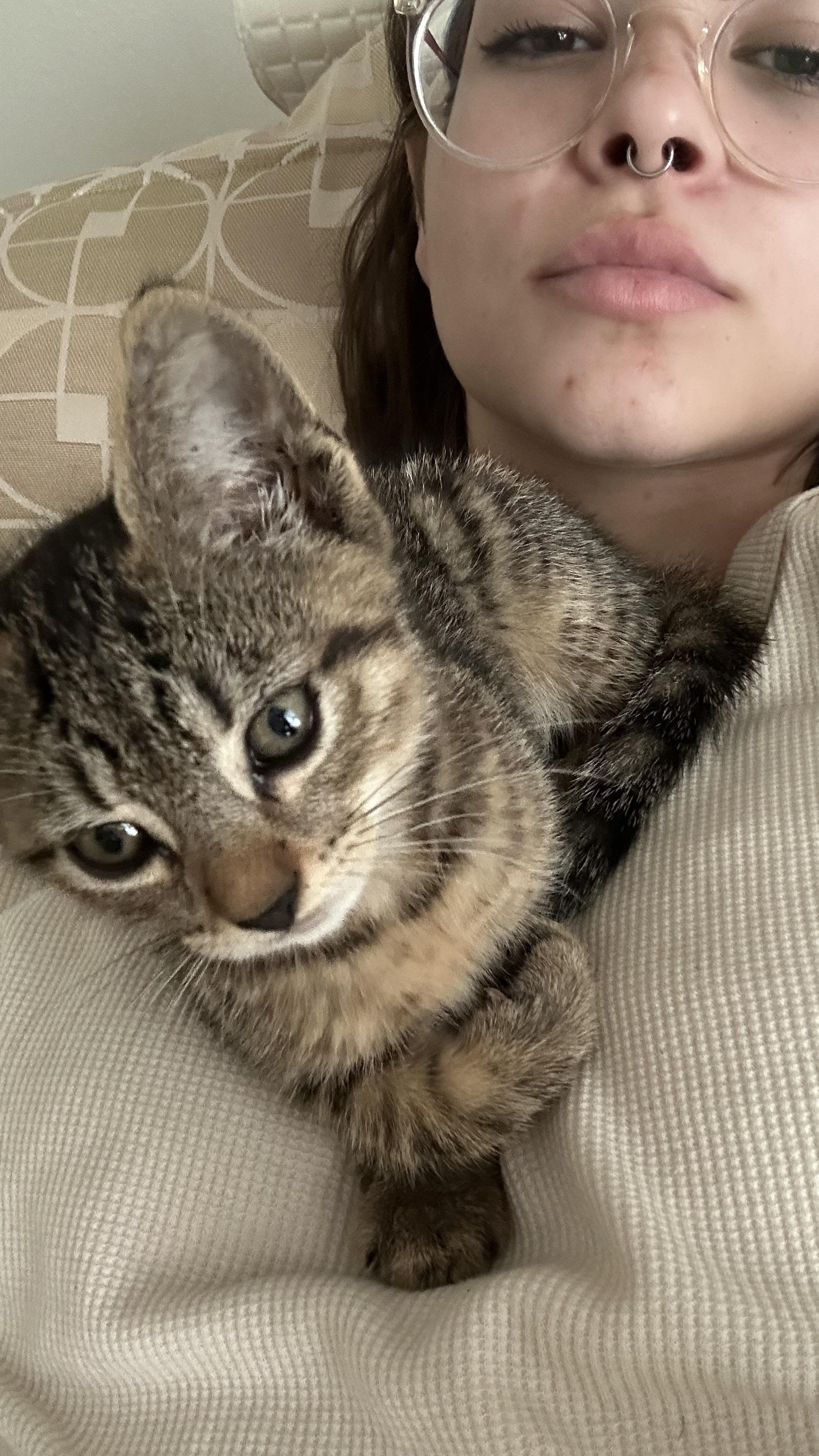 Rescued Stray Kitty, Peanut | Scrolller