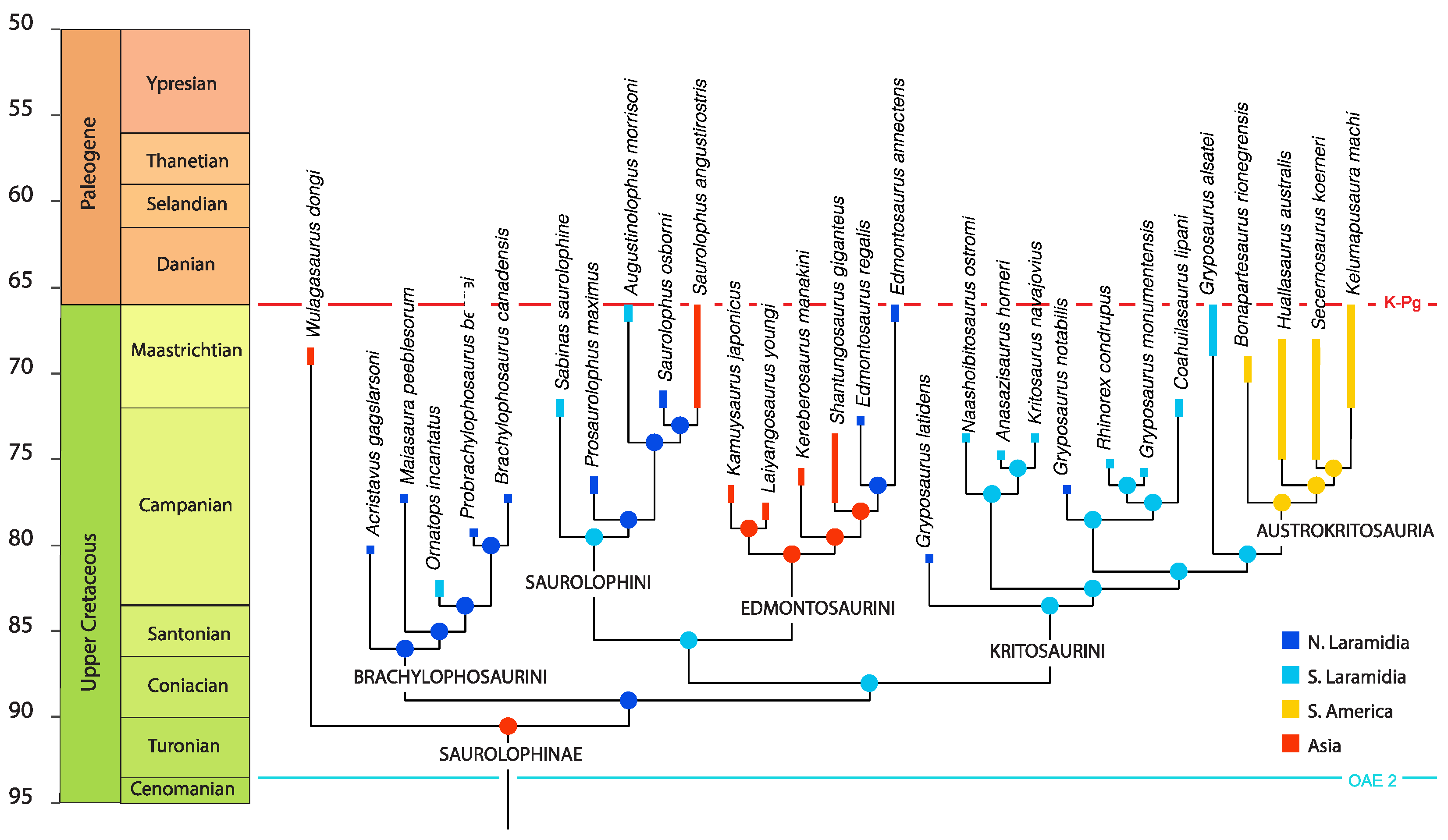 New dinosaur just dropped | Scrolller