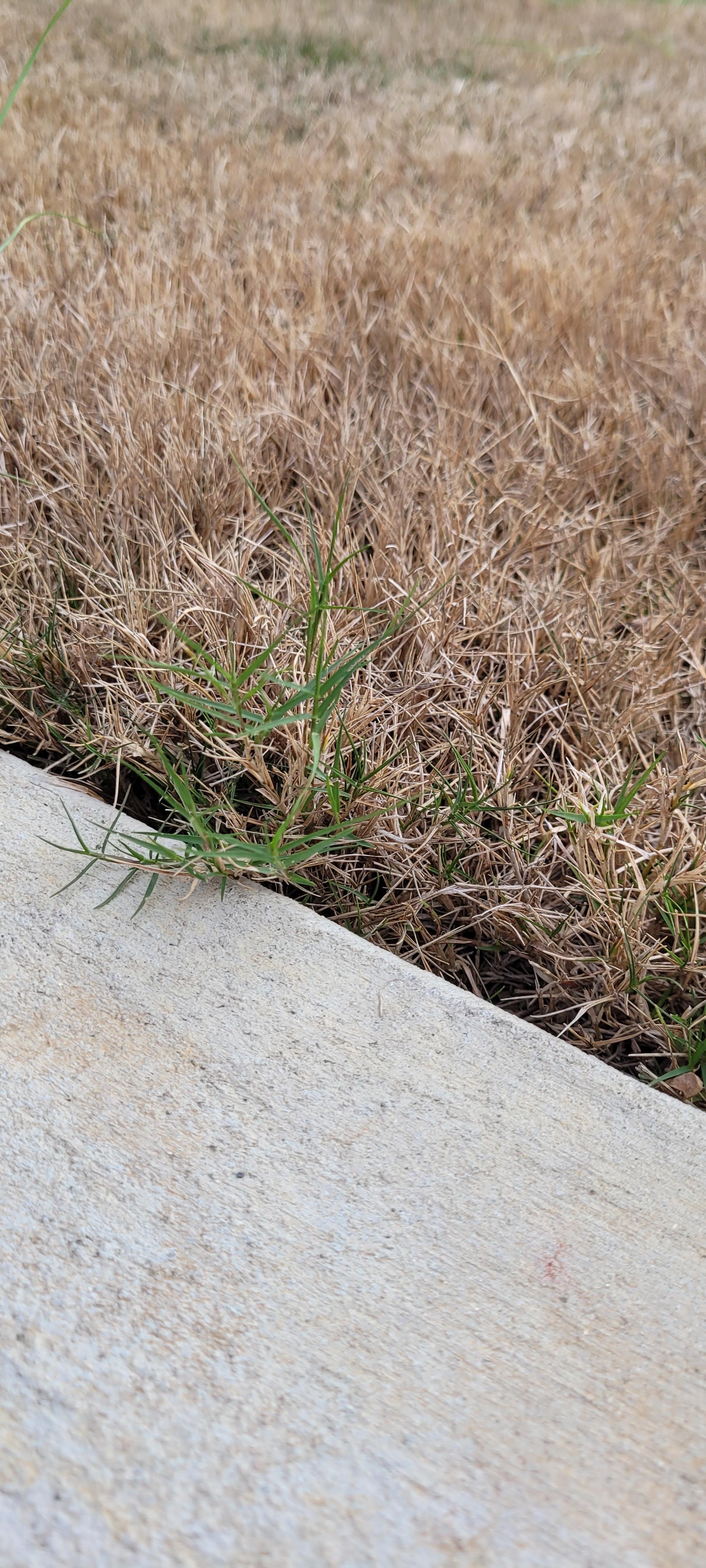 Discover more like Lawncare: New house and sod and Related Content | Scrolller