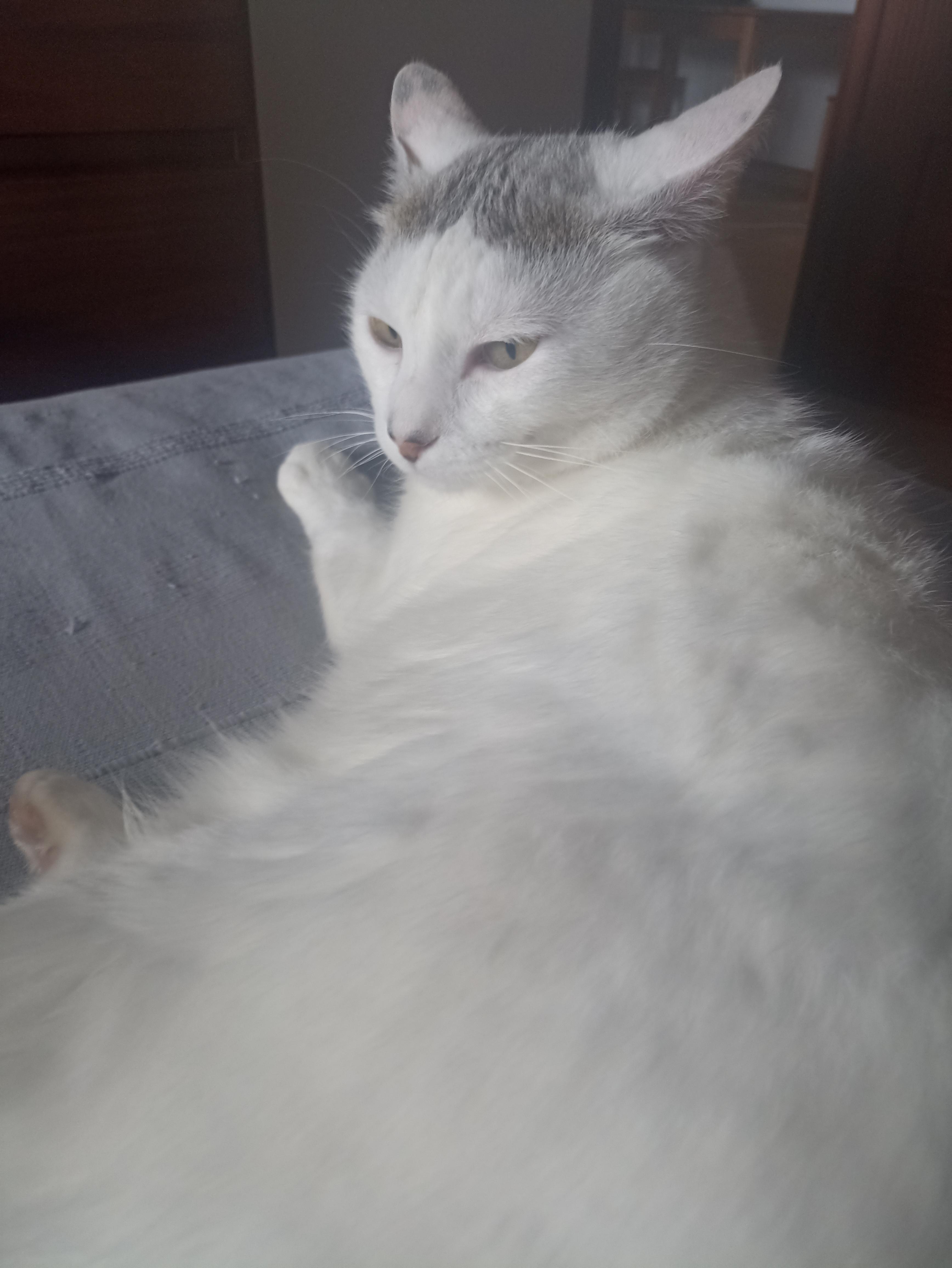 So ...you don't want my company?! | Scrolller