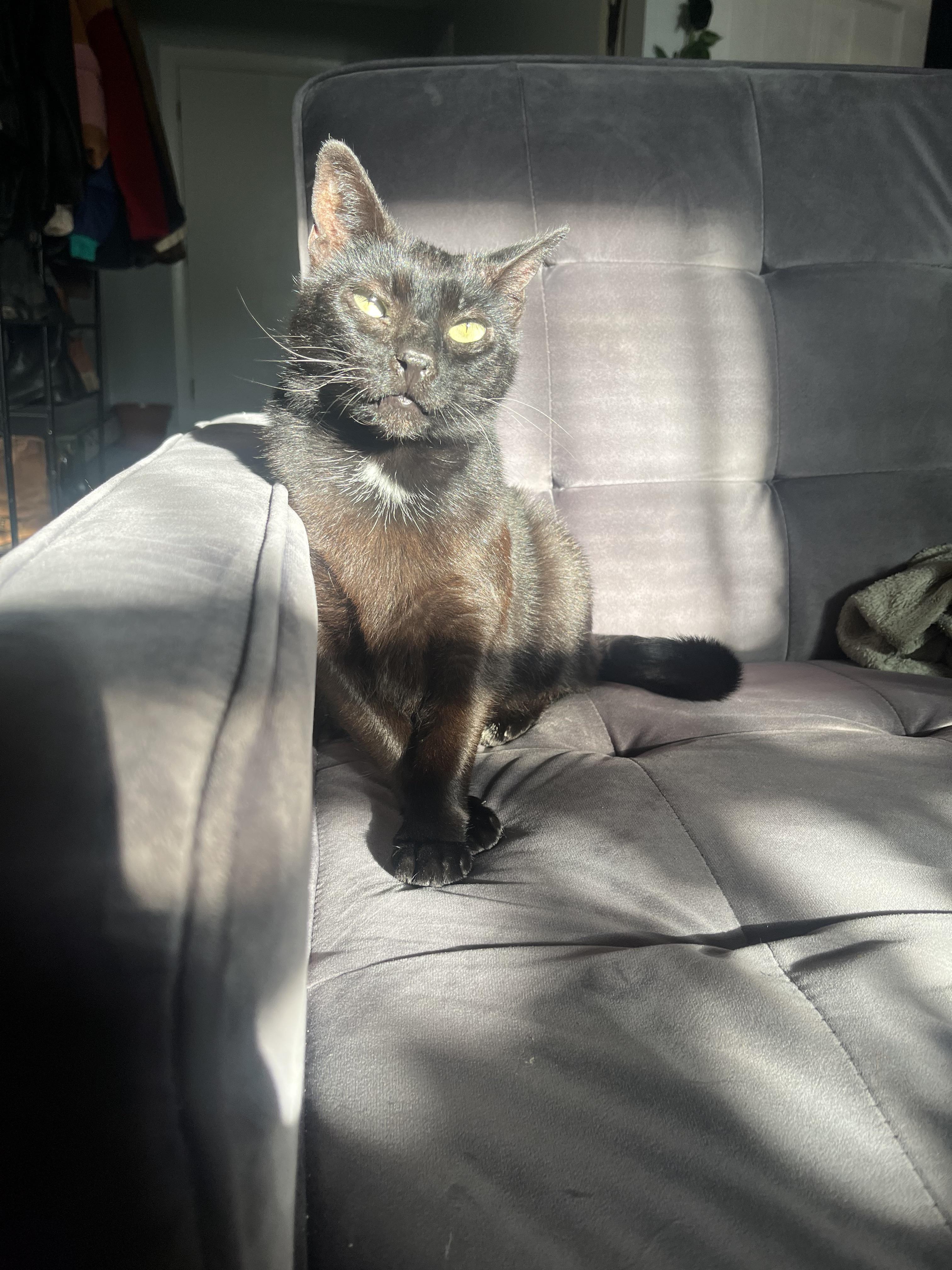 Bro doesn’t know he’s handsome | Scrolller