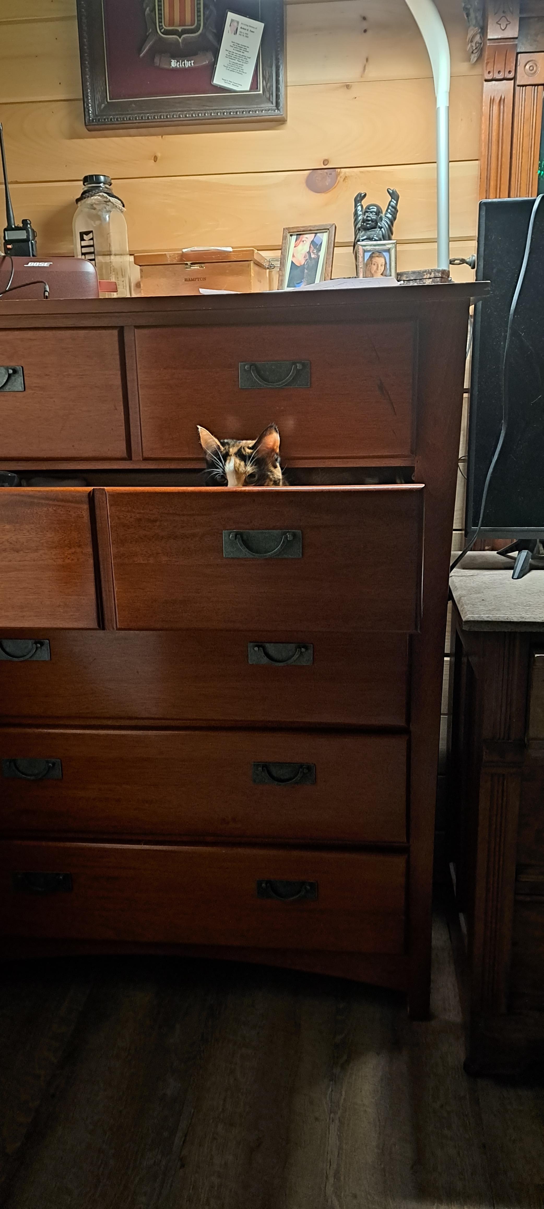 ...Weirdo | Scrolller