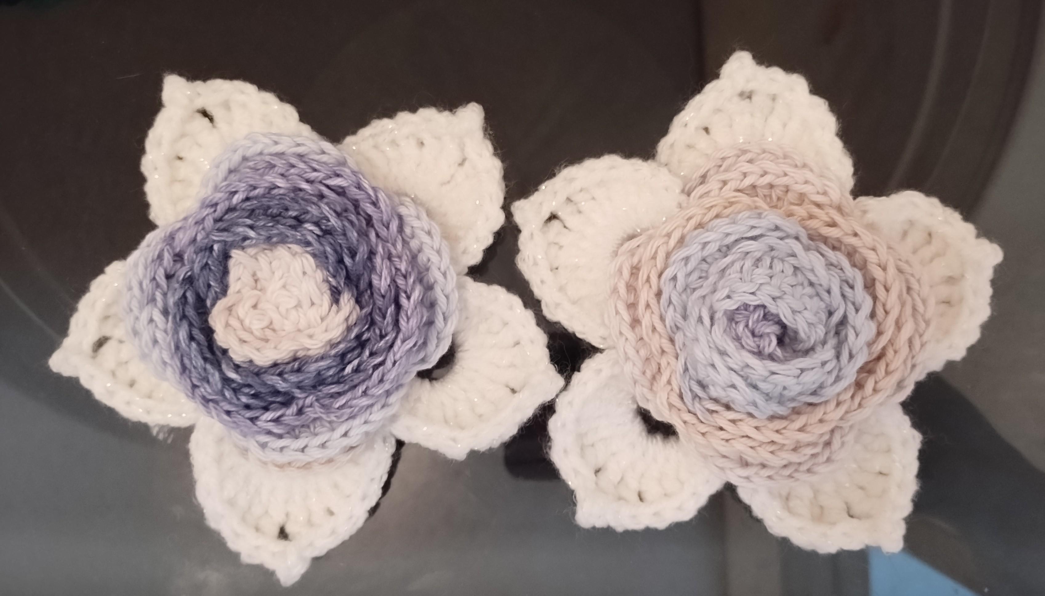 Blue Roses | Scrolller