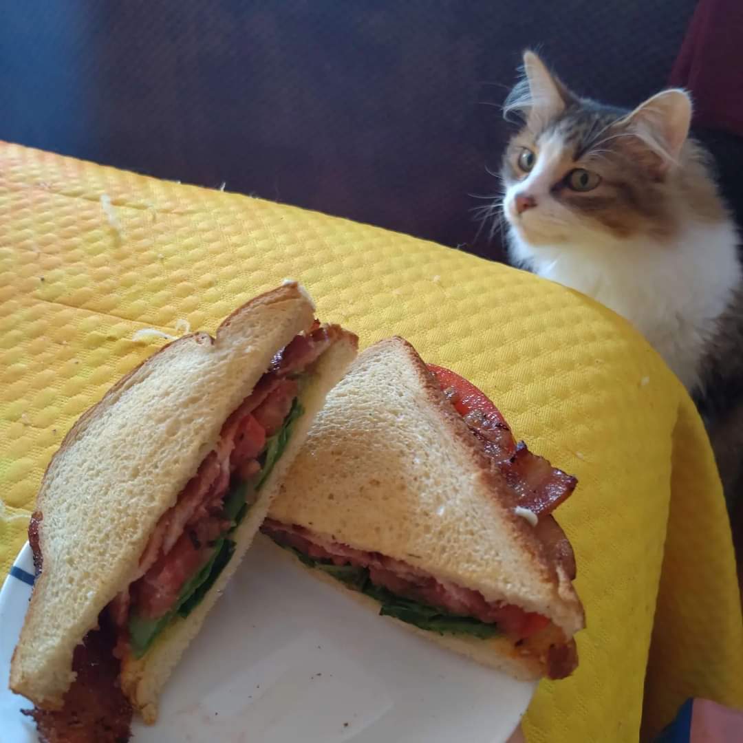 Maple bacon, spinach, and tomato on toasted sweet brioche | Scrolller