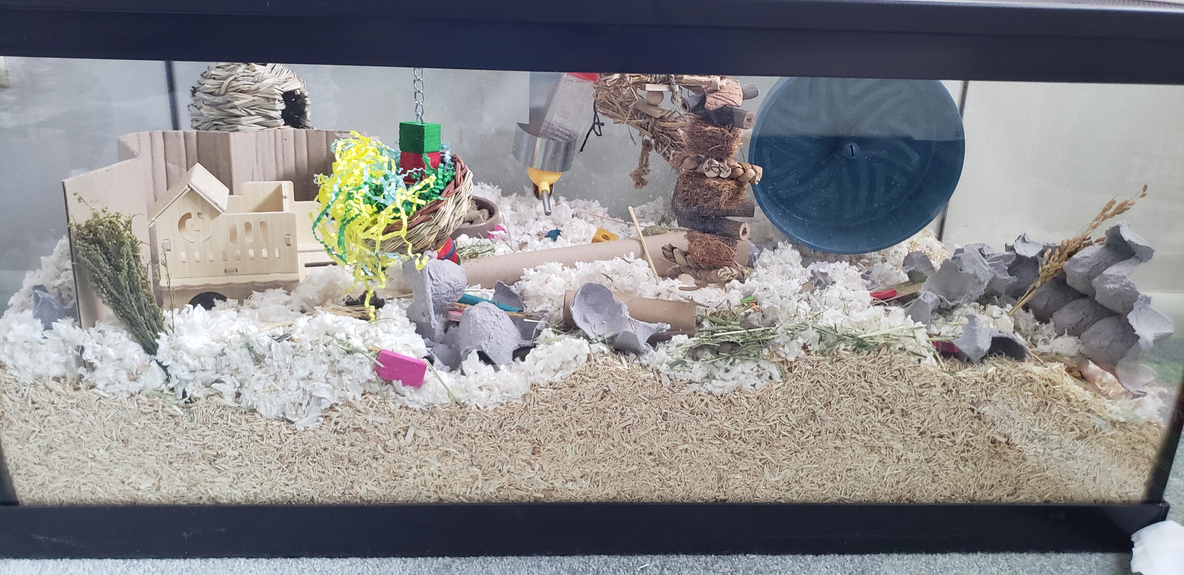 Rate his tank | Scrolller