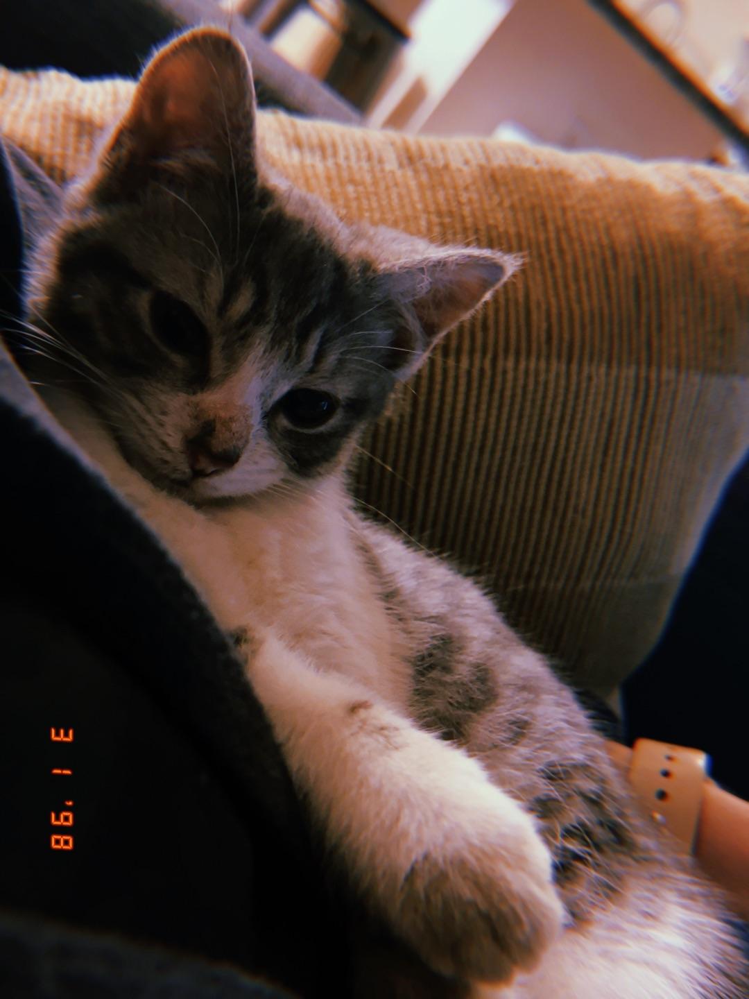 How am I supposed to WFH with distractions like this?? | Scrolller