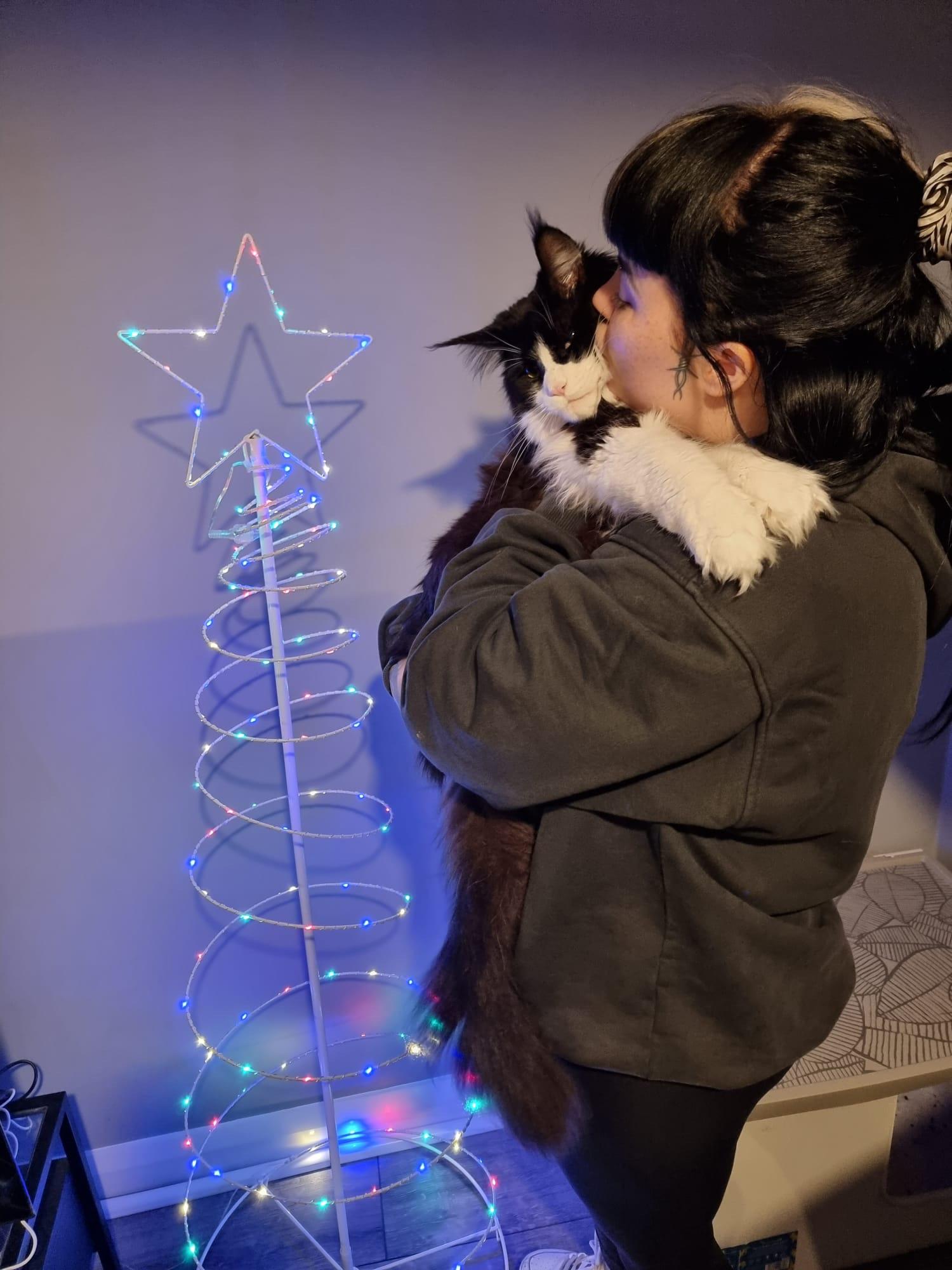 Noodles First Xmas | Scrolller