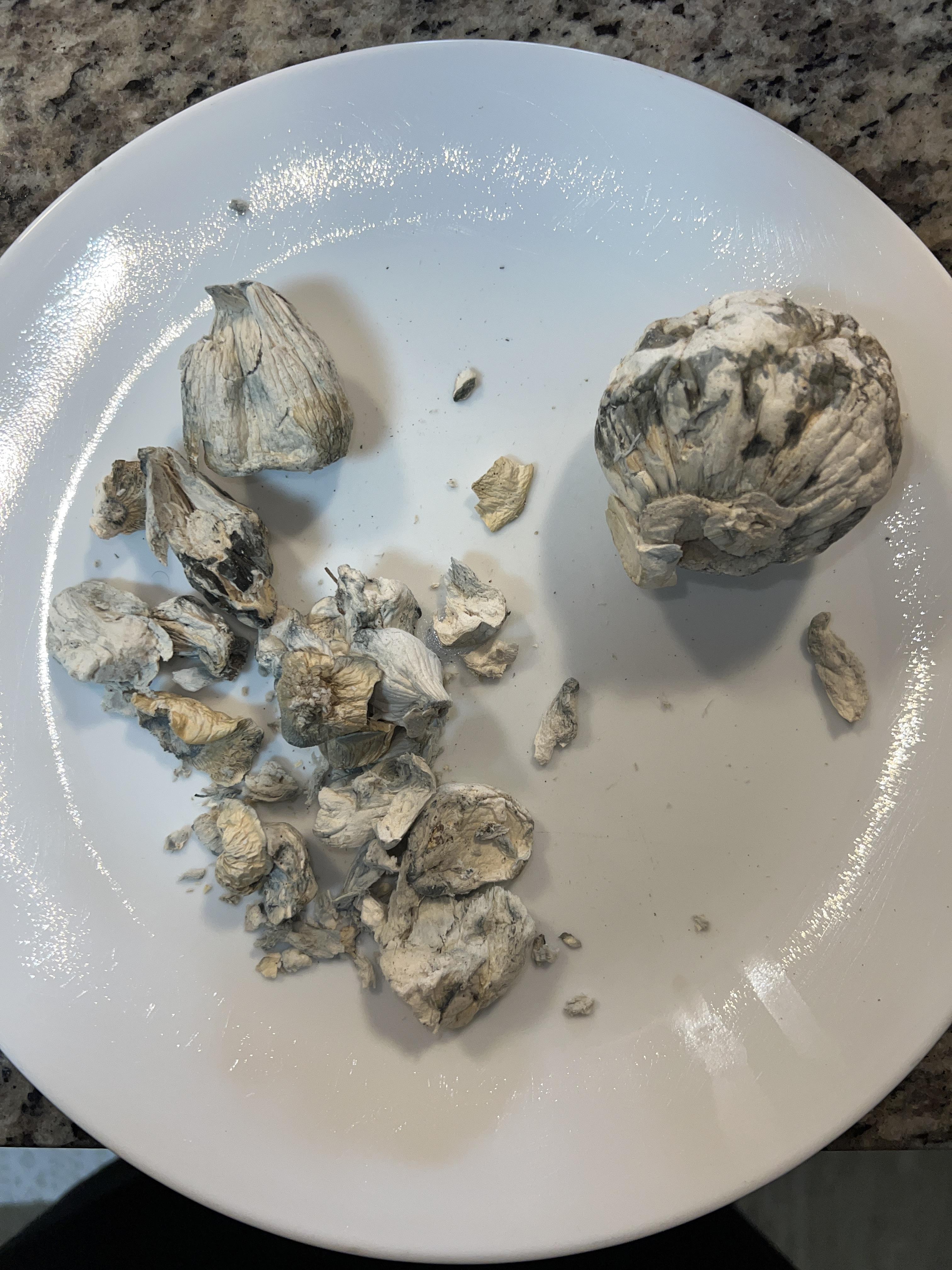 Giant blob | Scrolller