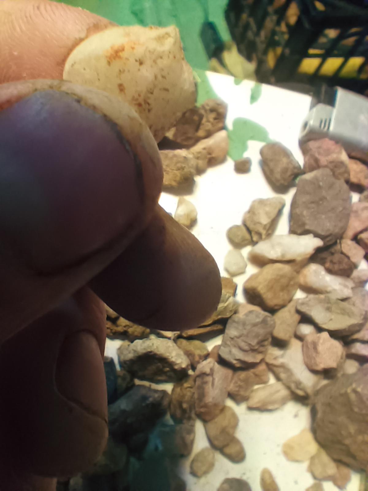 What are these rocks | Scrolller