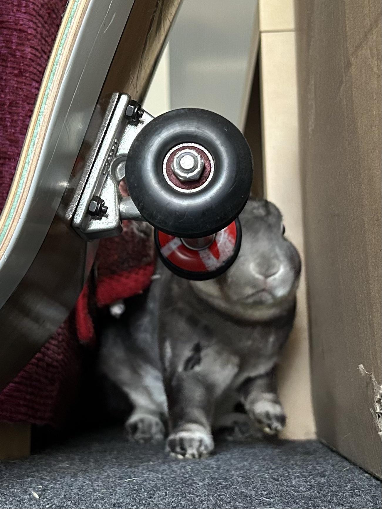 Porridge and the wheel | Scrolller