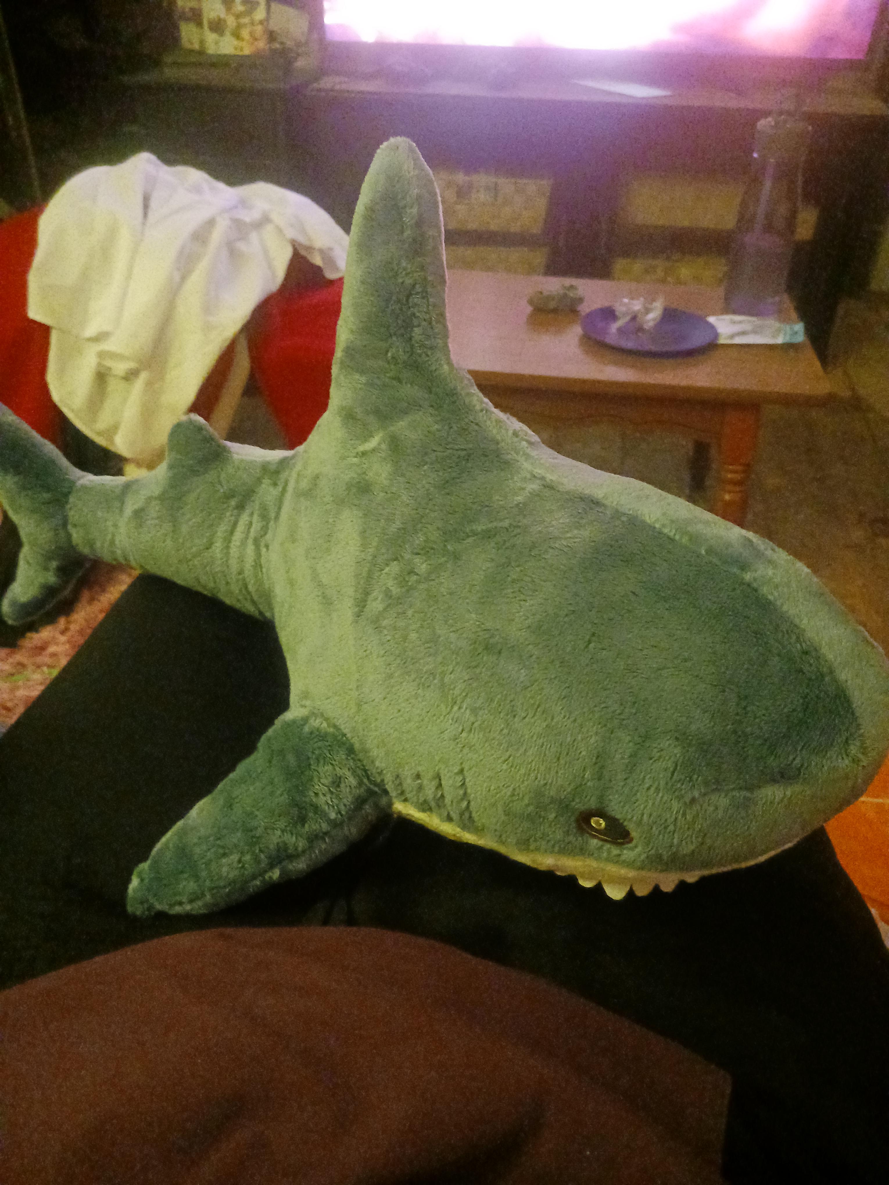 Finally got myself a Blahaj!!! | Scrolller