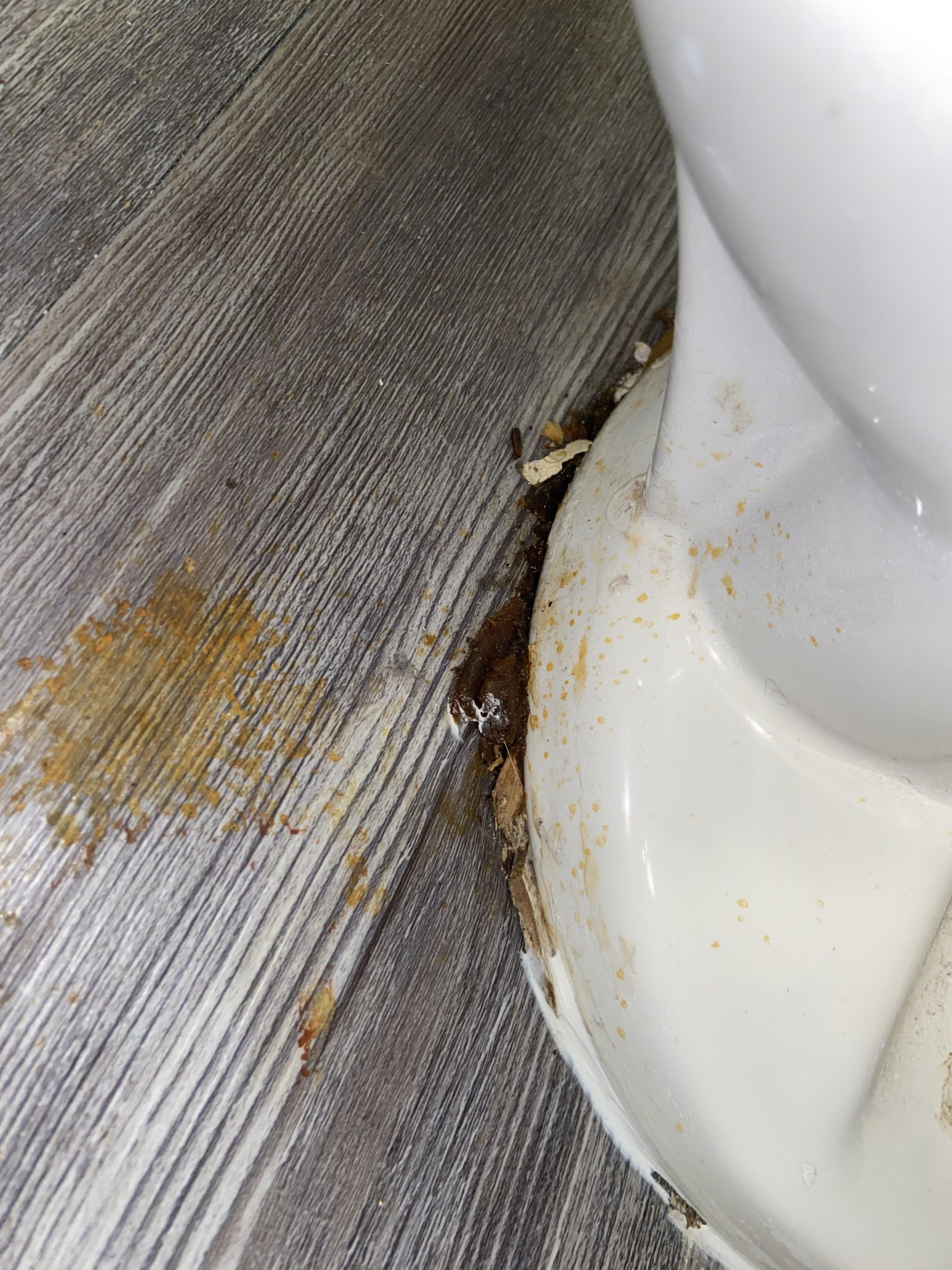 Is this water damage? | Scrolller