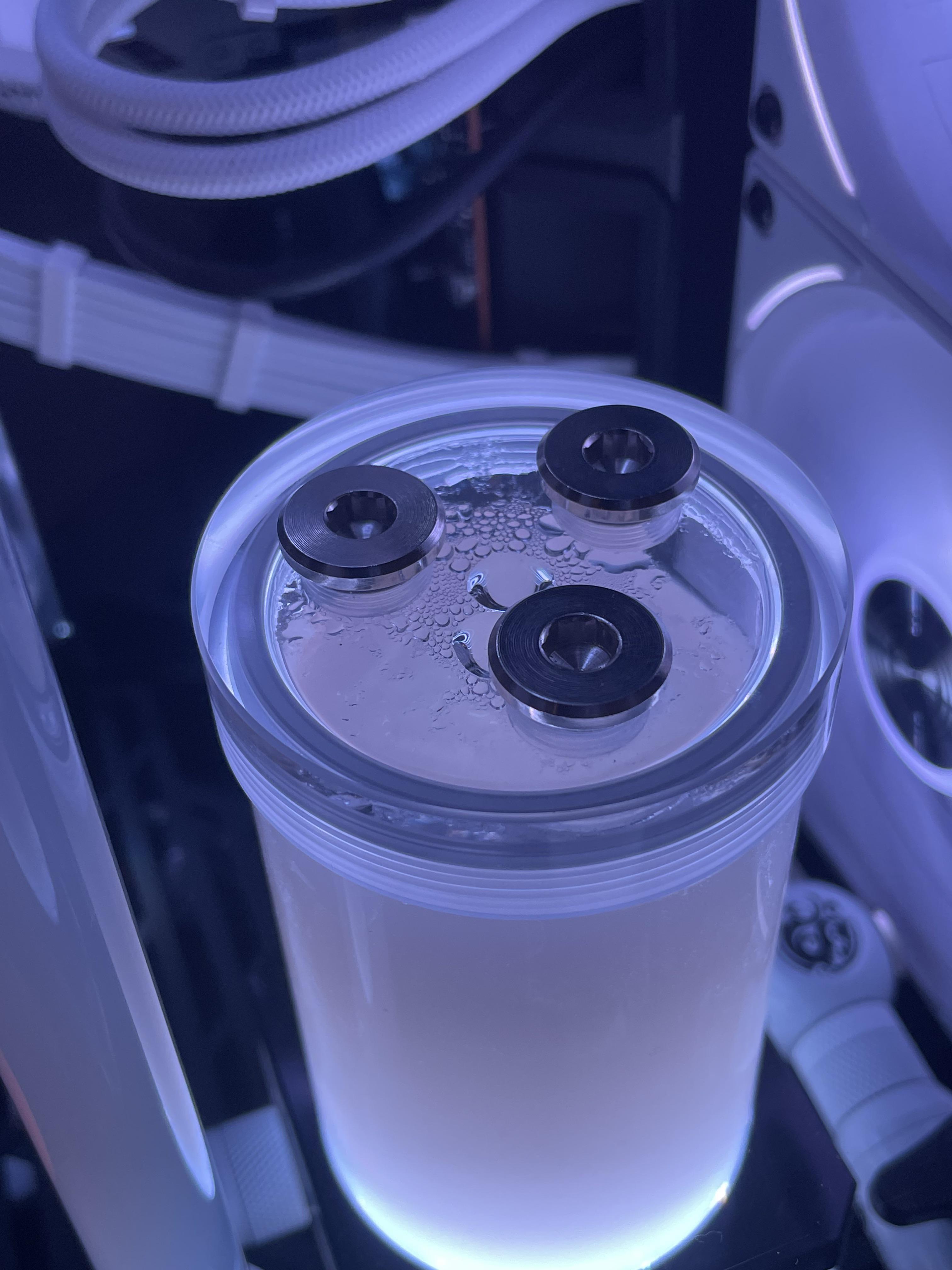 First Custom Loop Done | Scrolller