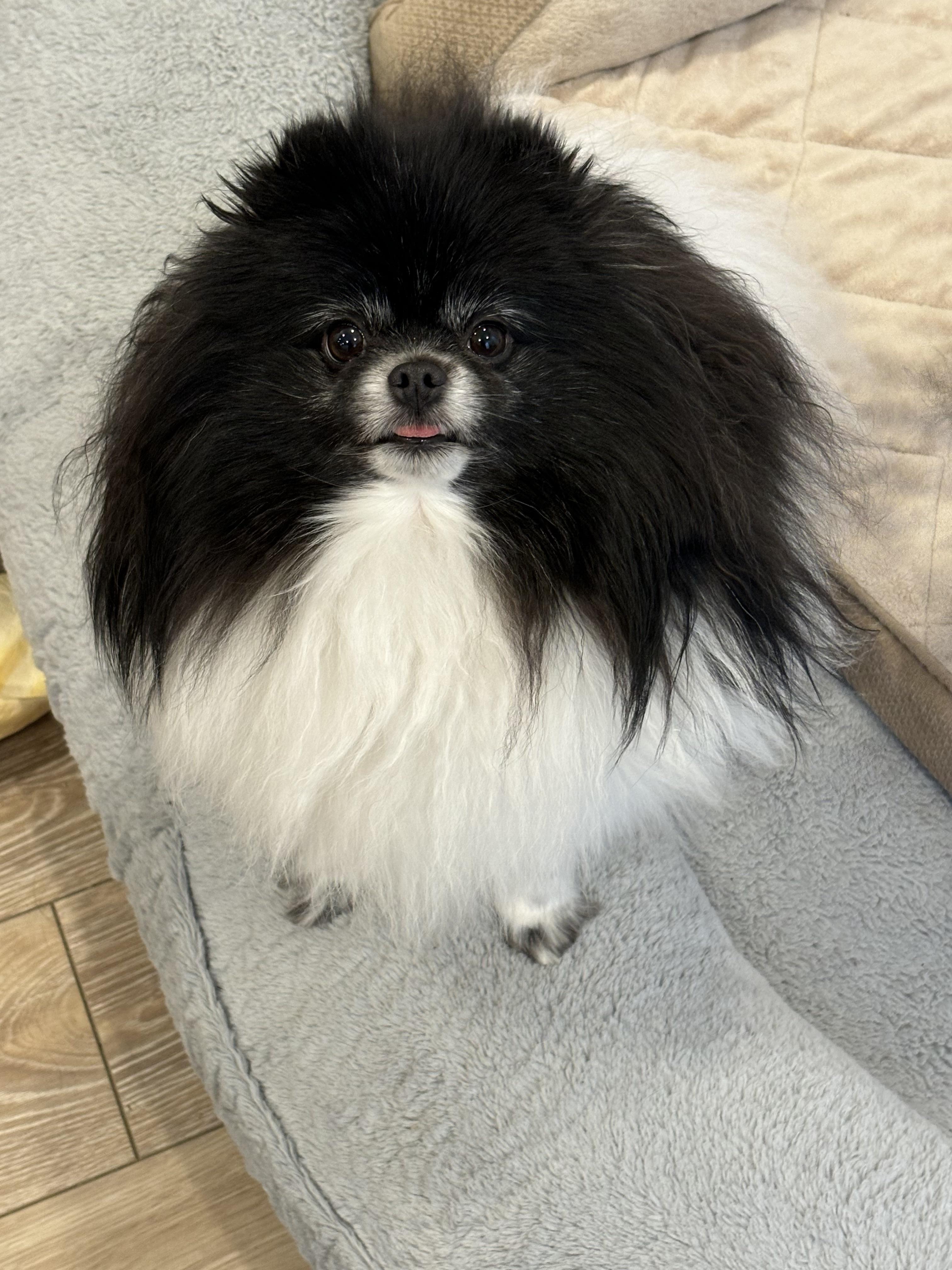 Hungry Lana | Scrolller