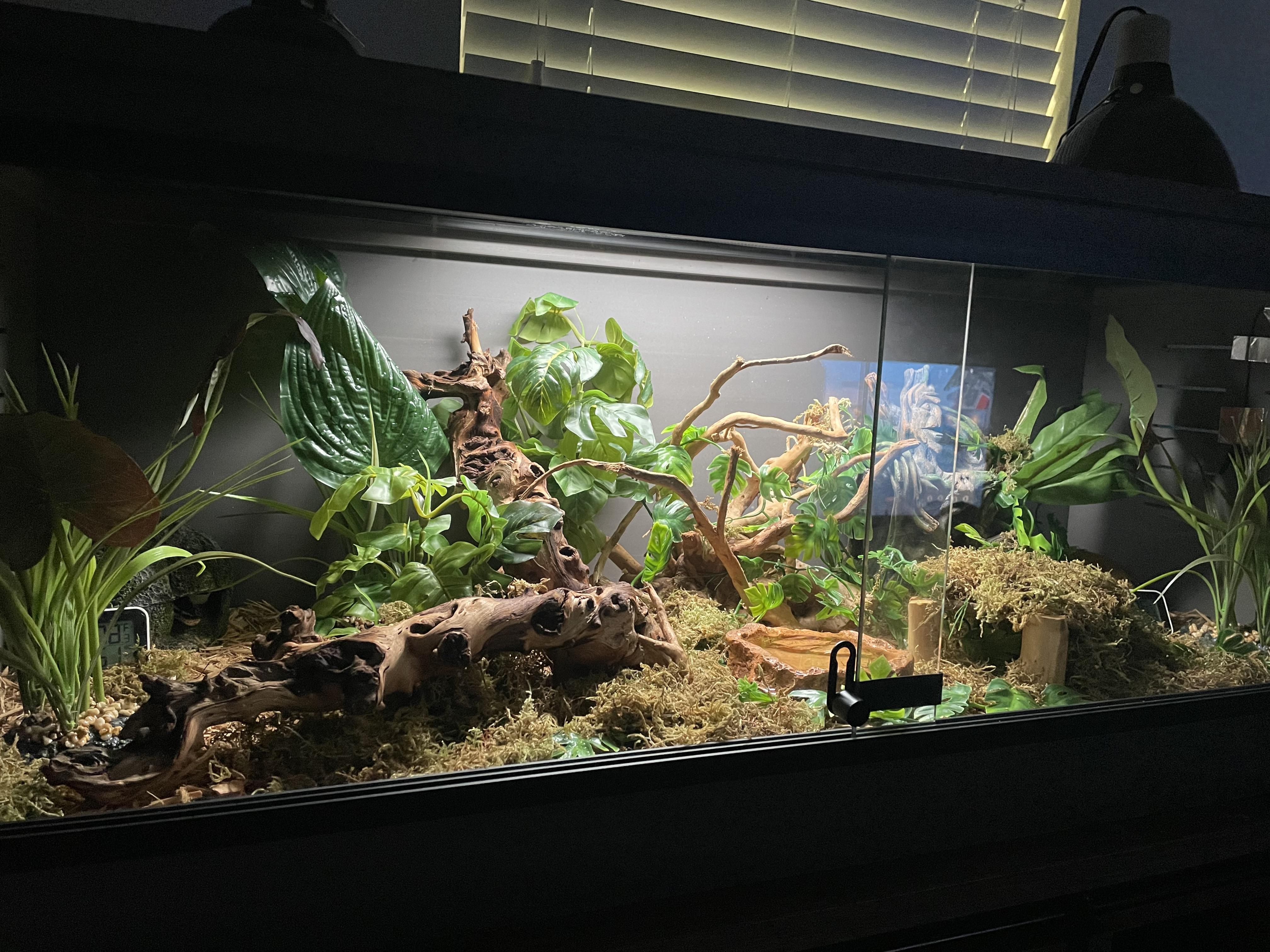 Snake activity? | Scrolller