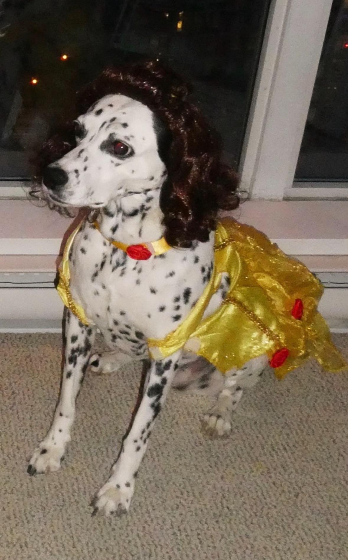 Happy howloween from princess panda | Scrolller