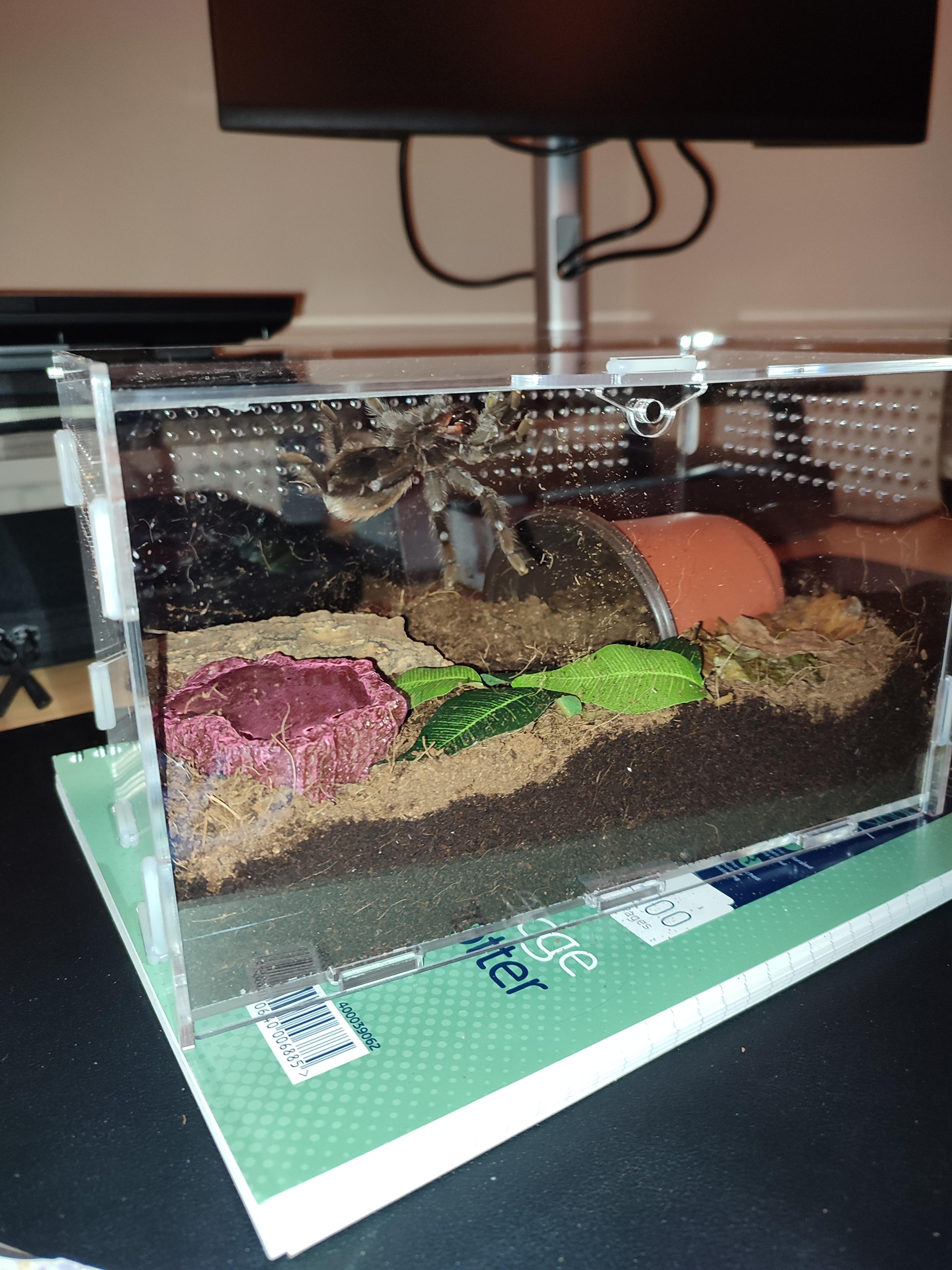 Normal Behaviour Scrolller