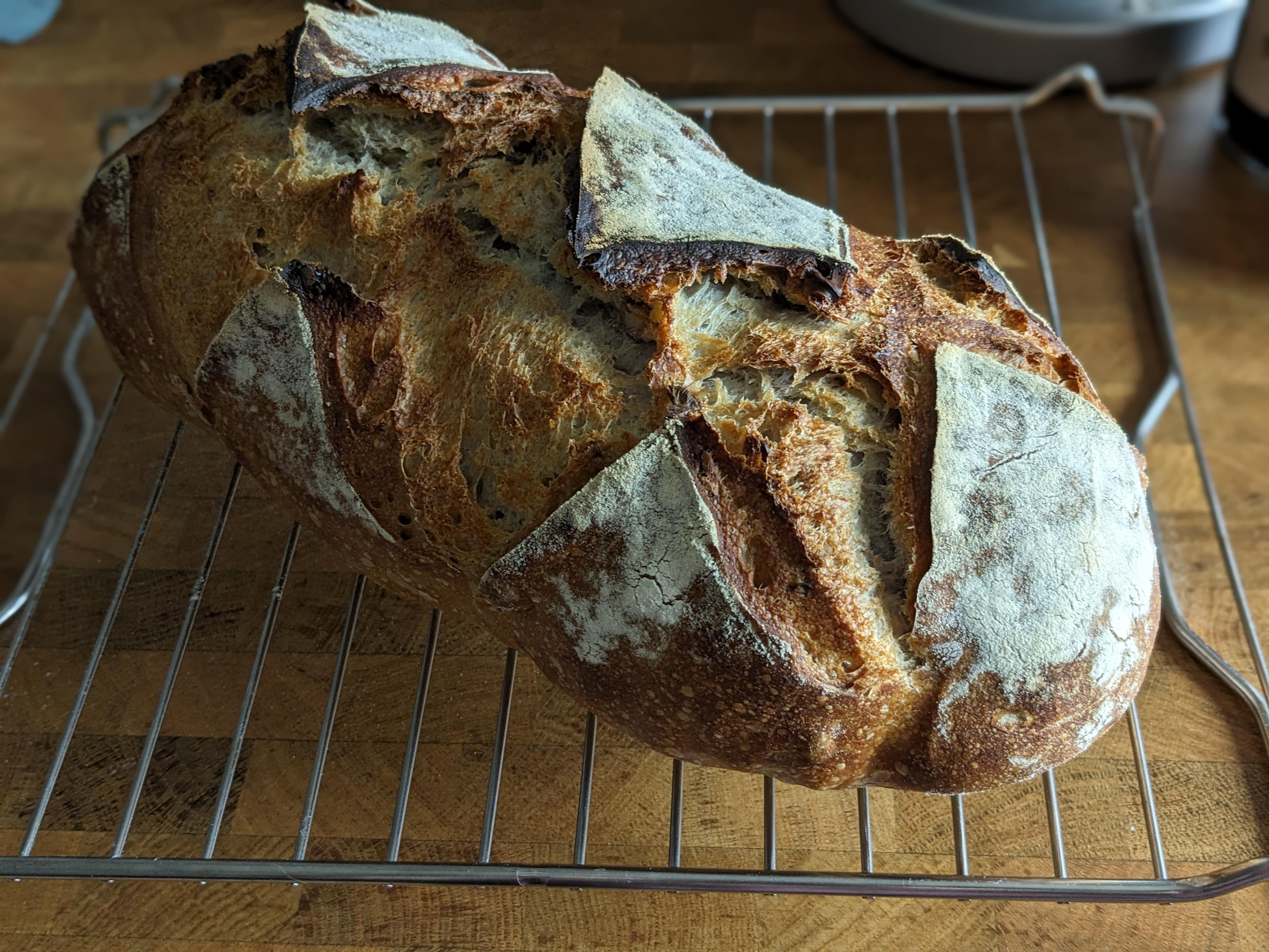 My walnuts sourdough bread | Scrolller