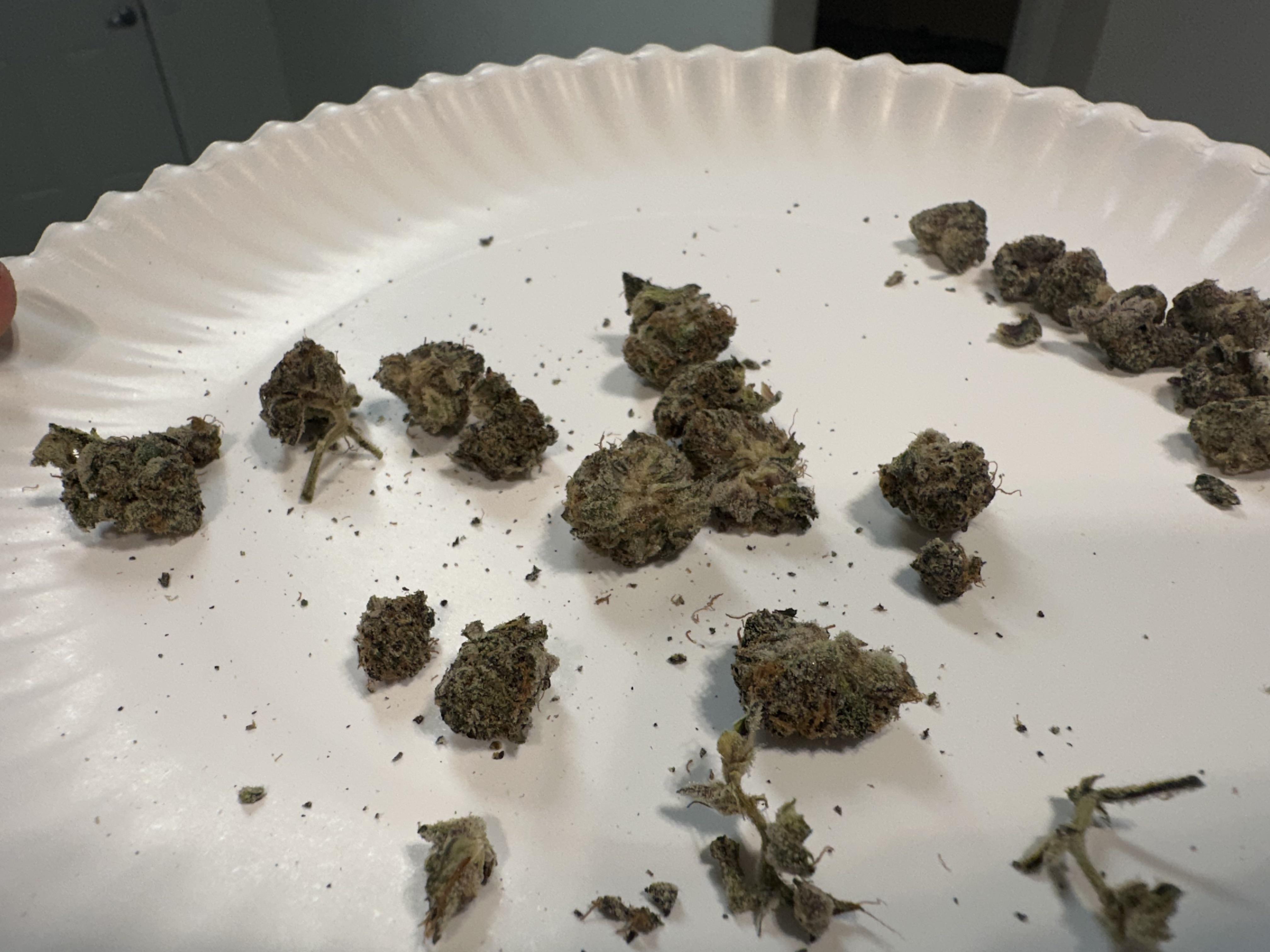 Does this look like mold? | Scrolller