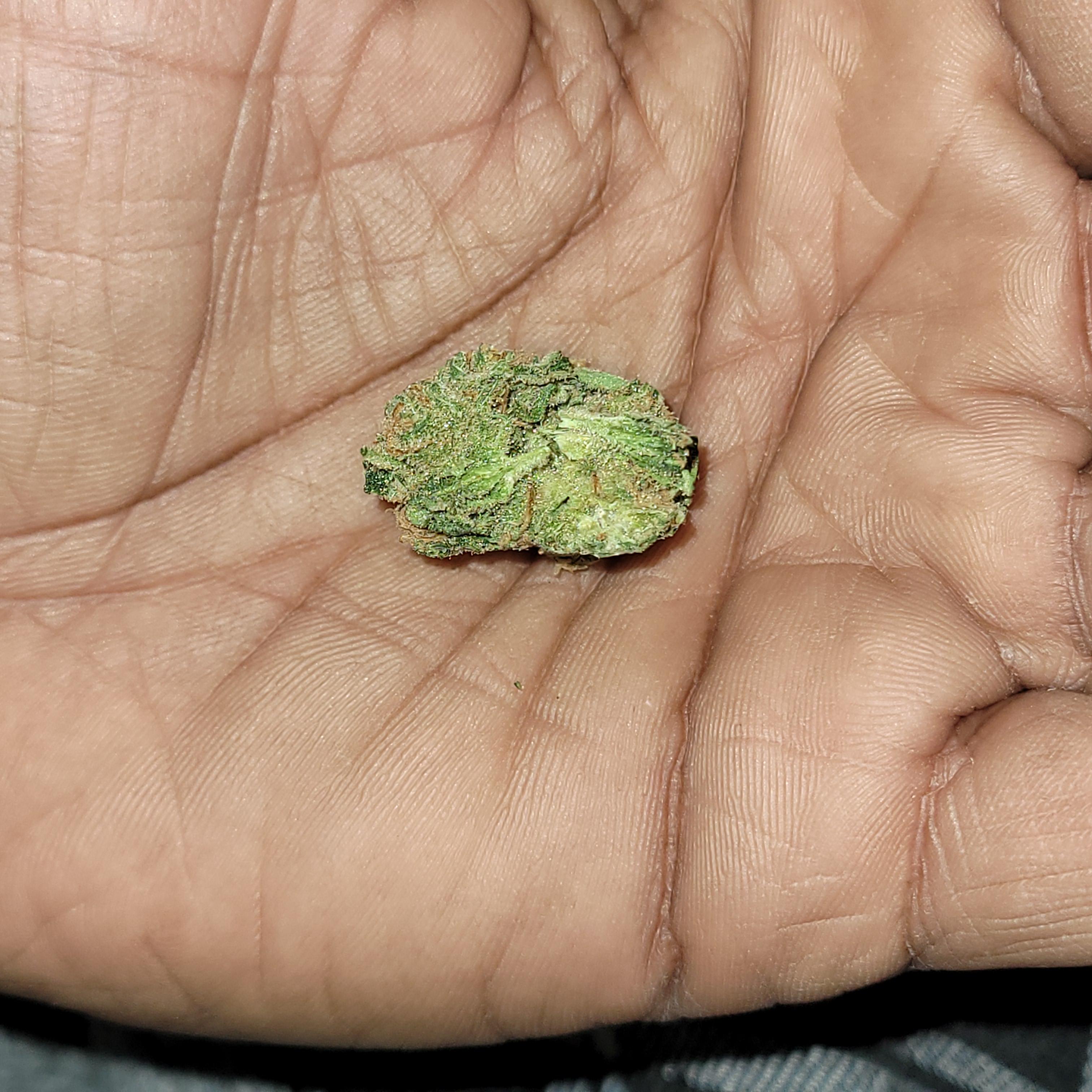 Black Jack | Scrolller