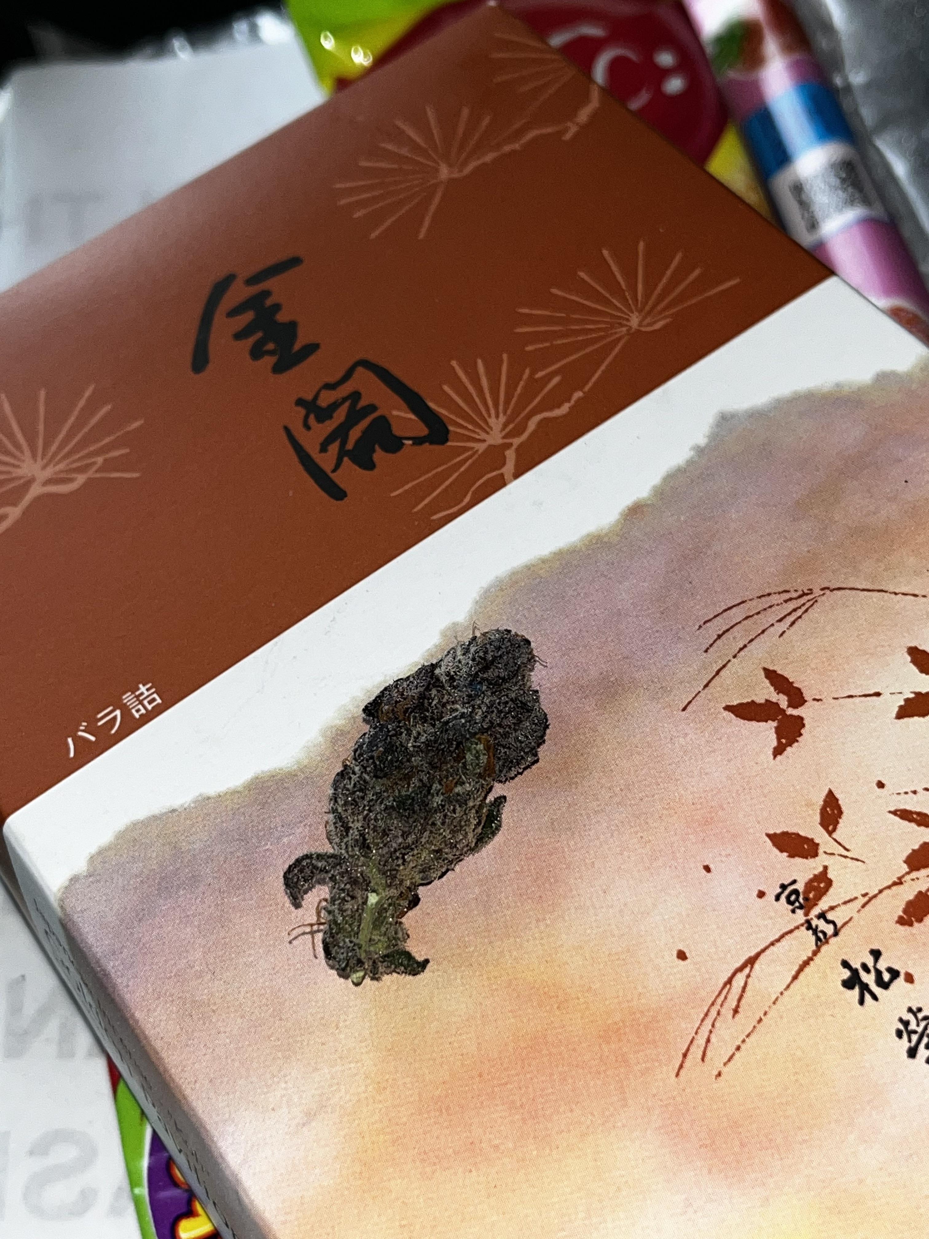 Discover more like Trees: Does this look moldy at all and Related Content | Scrolller