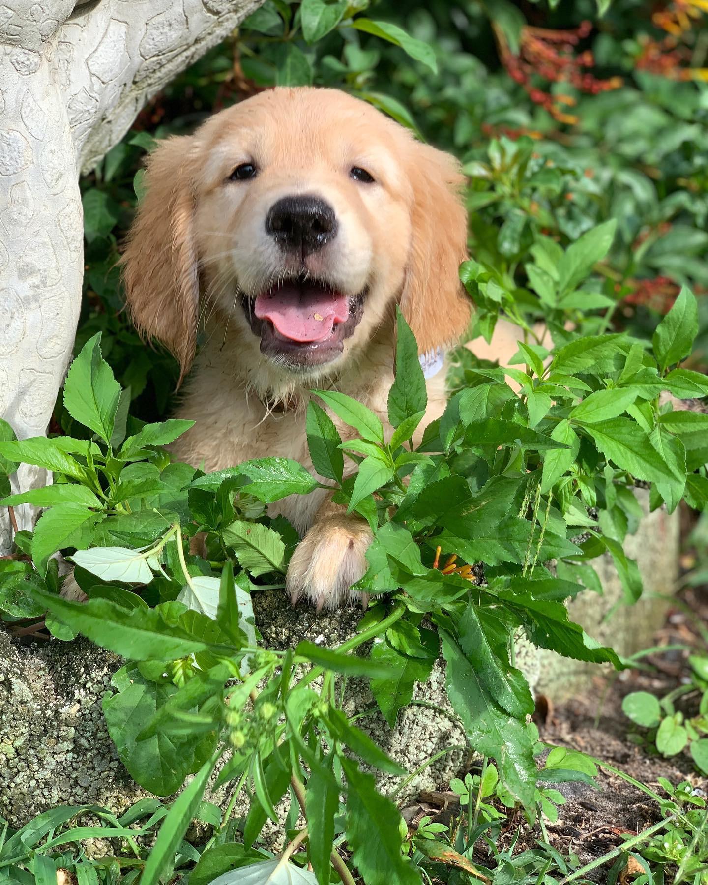 I think Edna wants to be a gardener when she grows up! | Scrolller