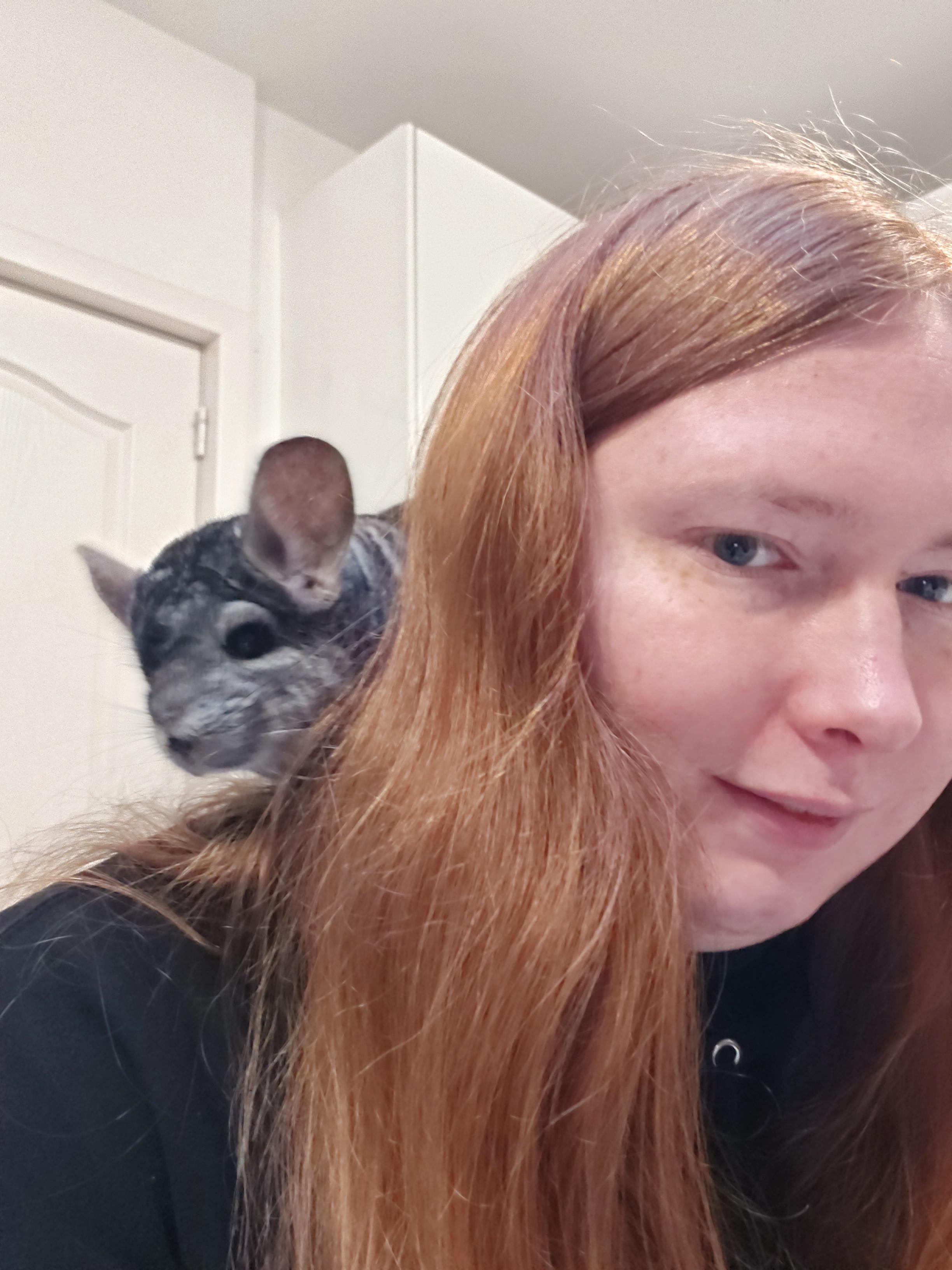 Theo the playfull | Scrolller