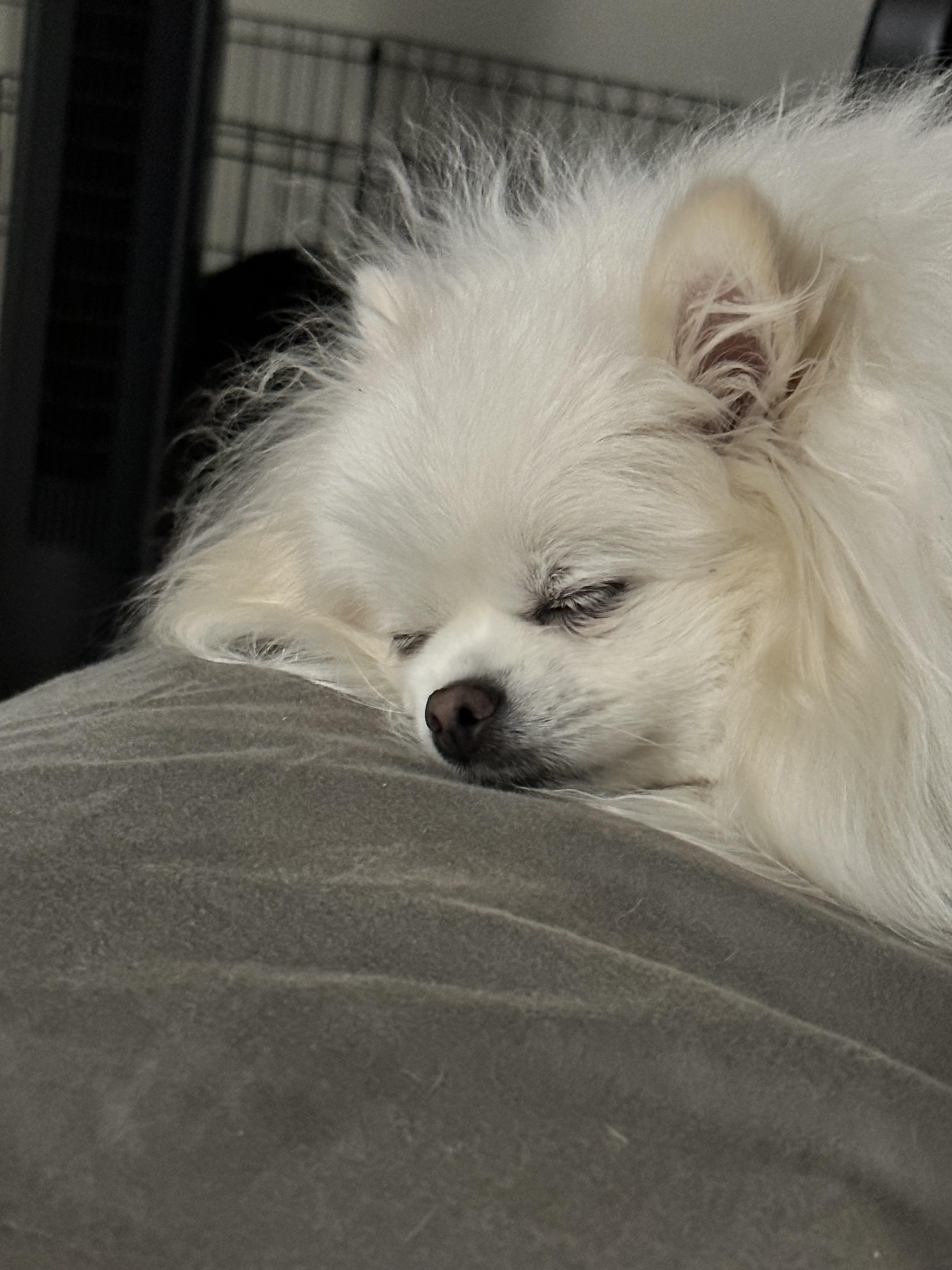 She brings me soooo much joy | Scrolller