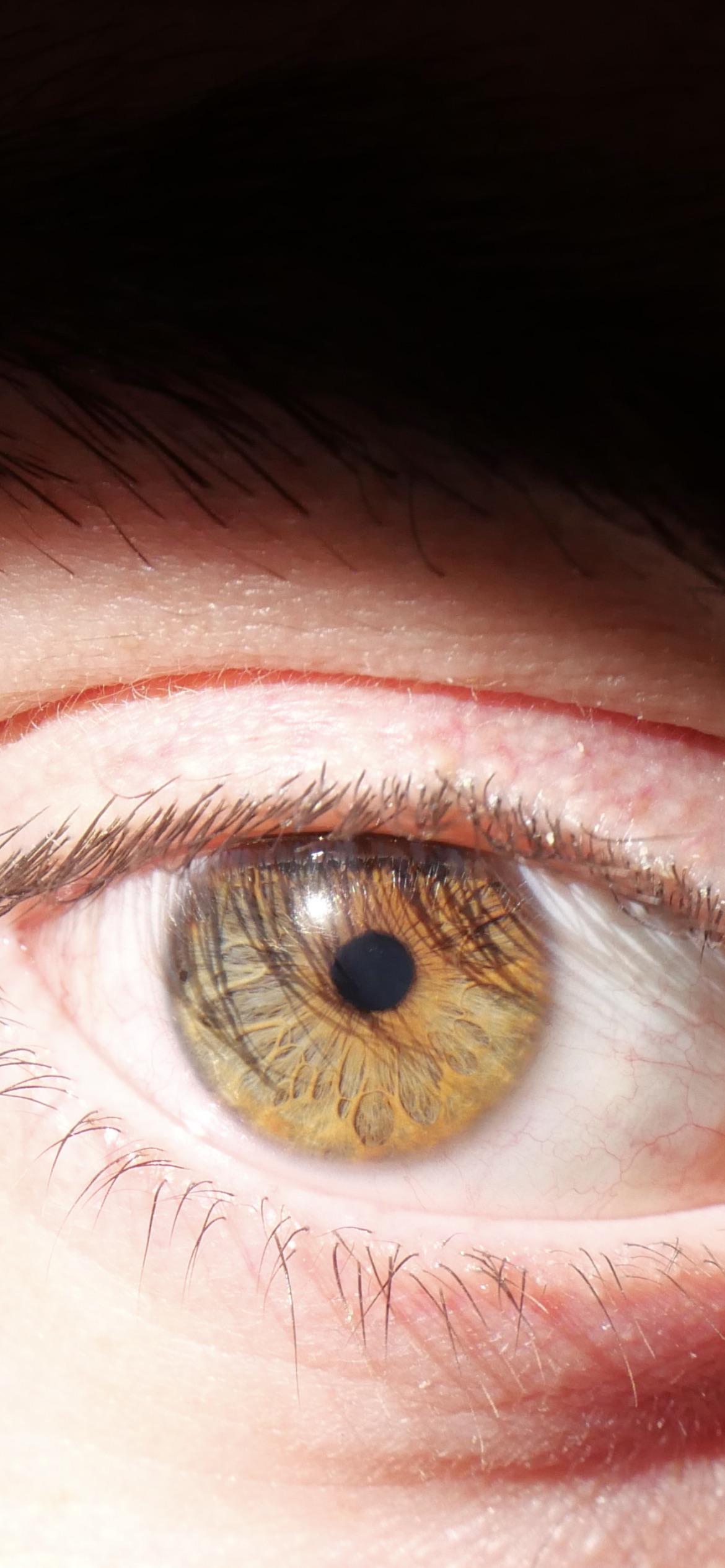 Is this what’s considered hazel ? | Scrolller