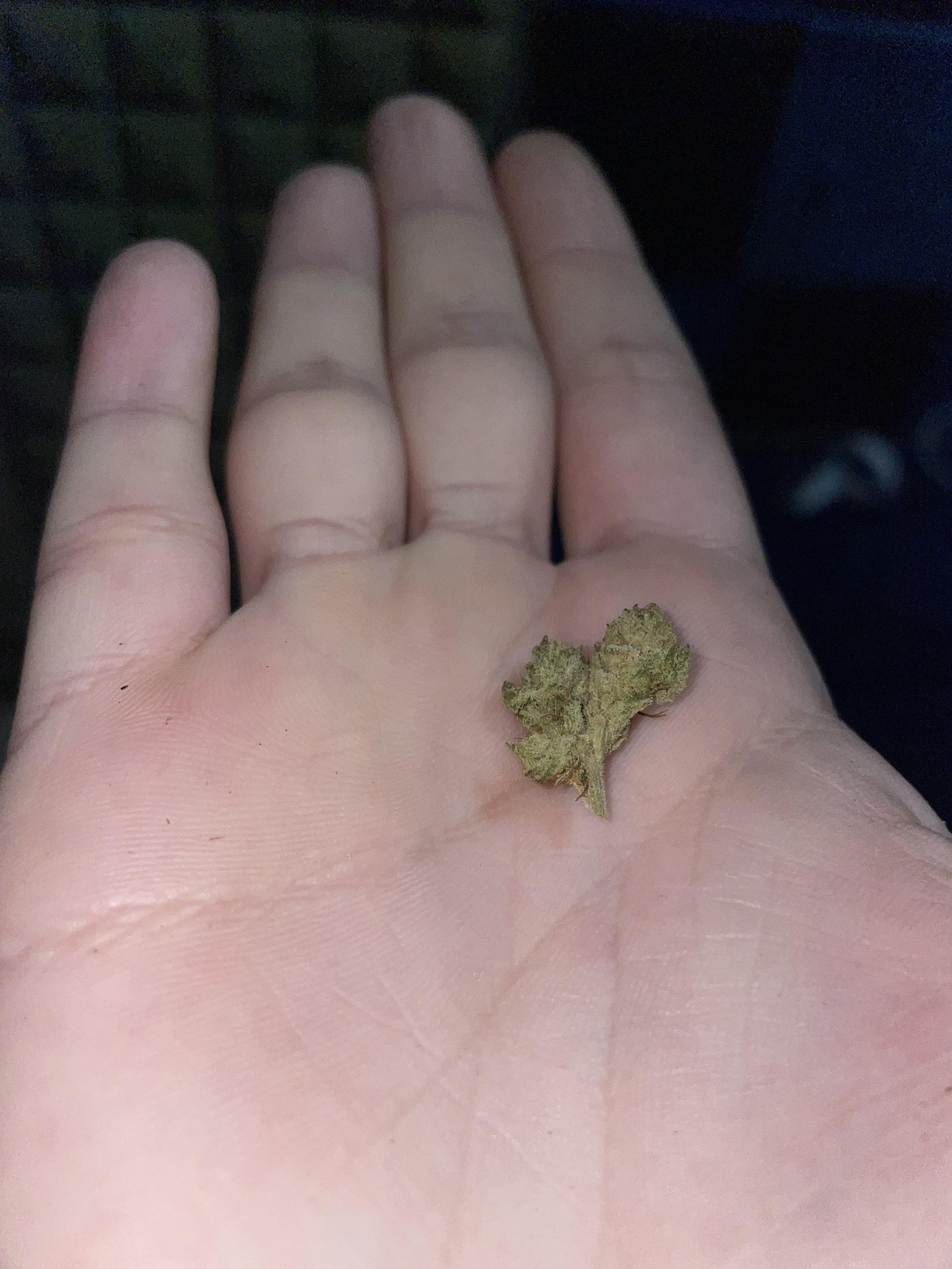 Help do u see any mold? | Scrolller