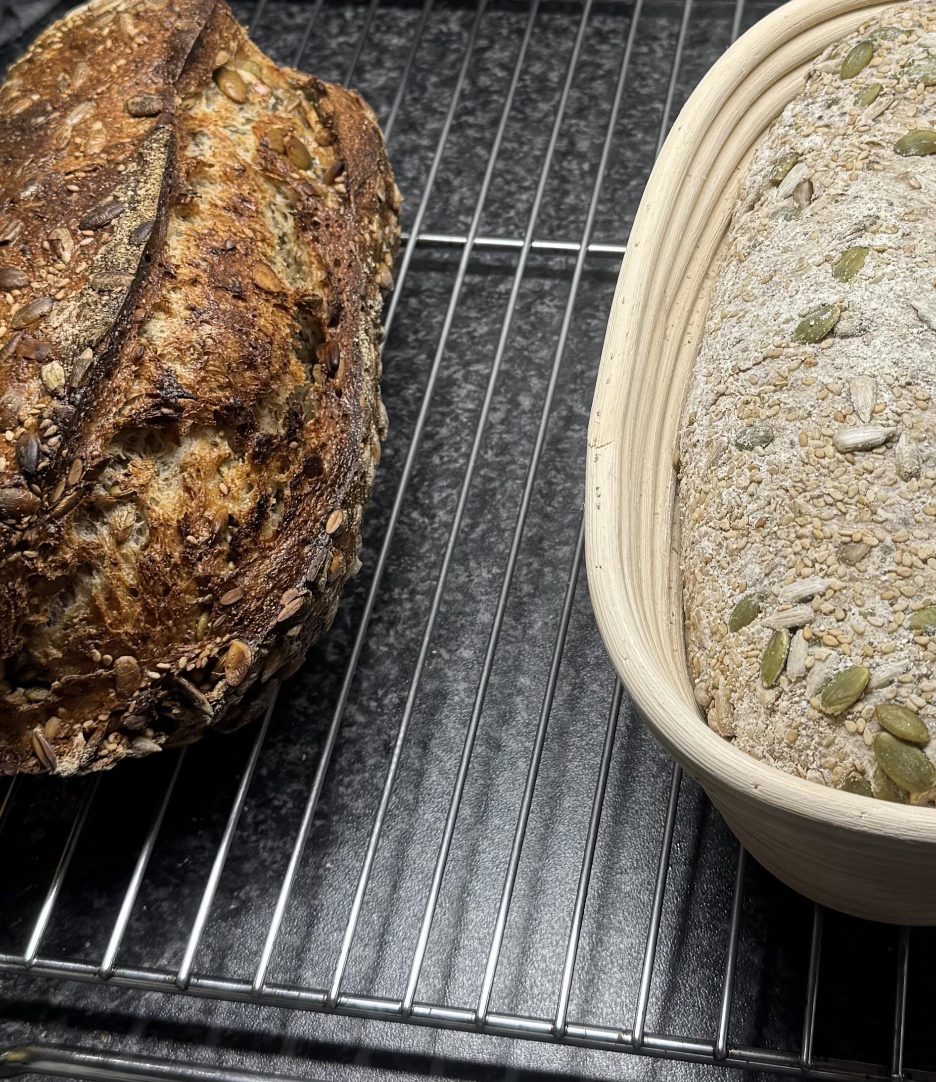 Discover more like Breadit: My 5th attempt, feedback welcomed and Related Content | Scrolller