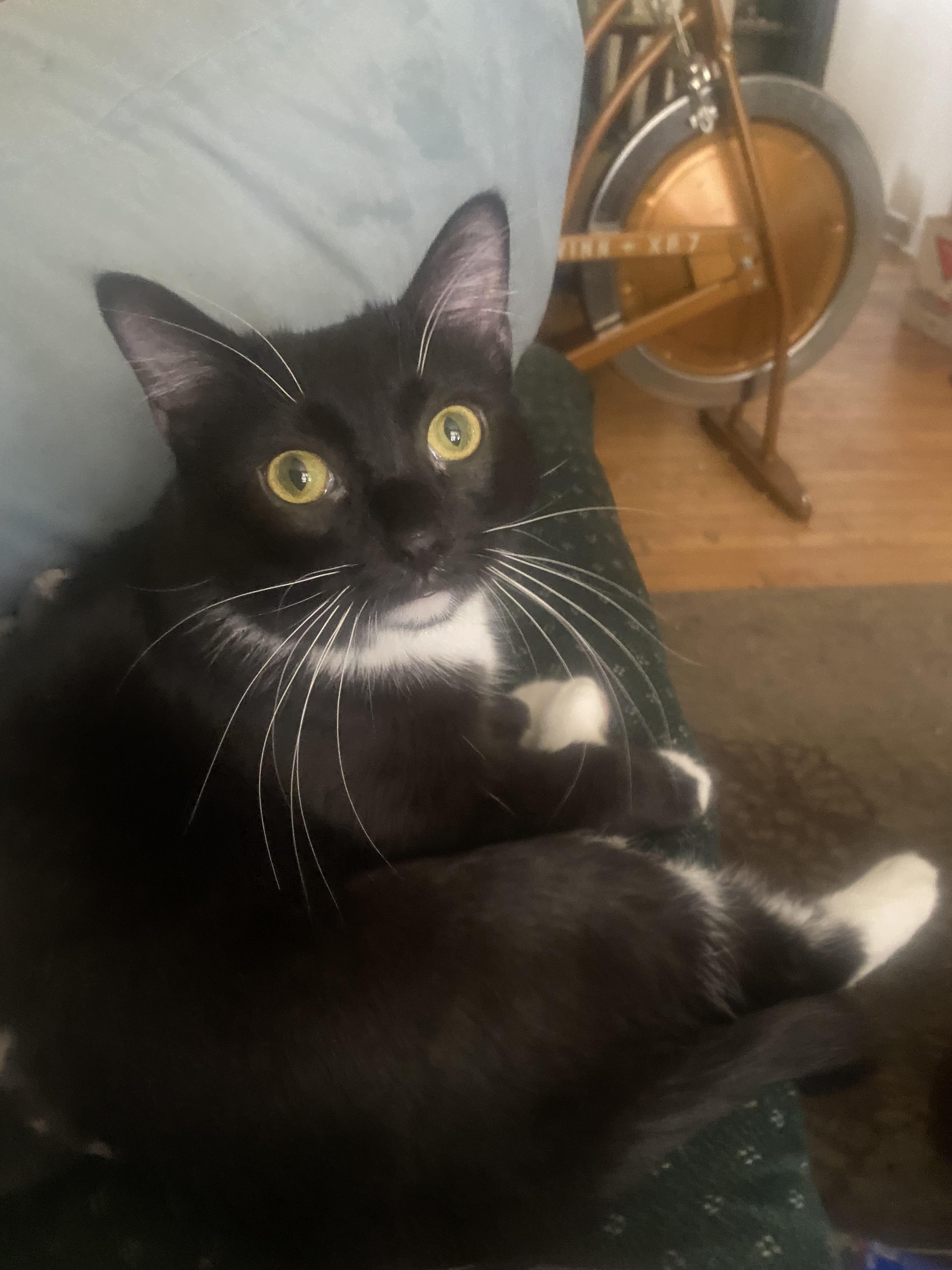 Buttons aka Beep Beep | Scrolller