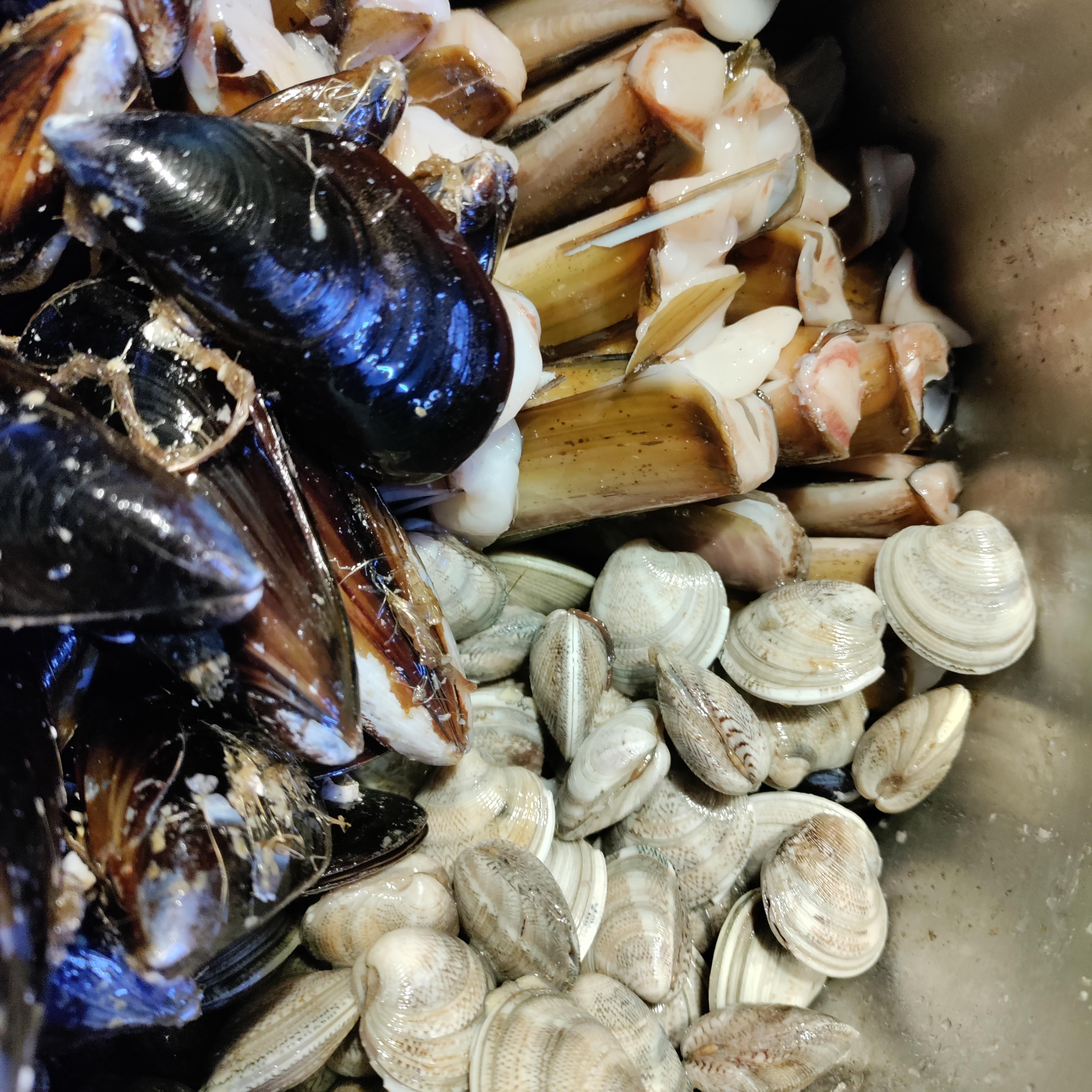 Fish and shells tantanmen | Scrolller