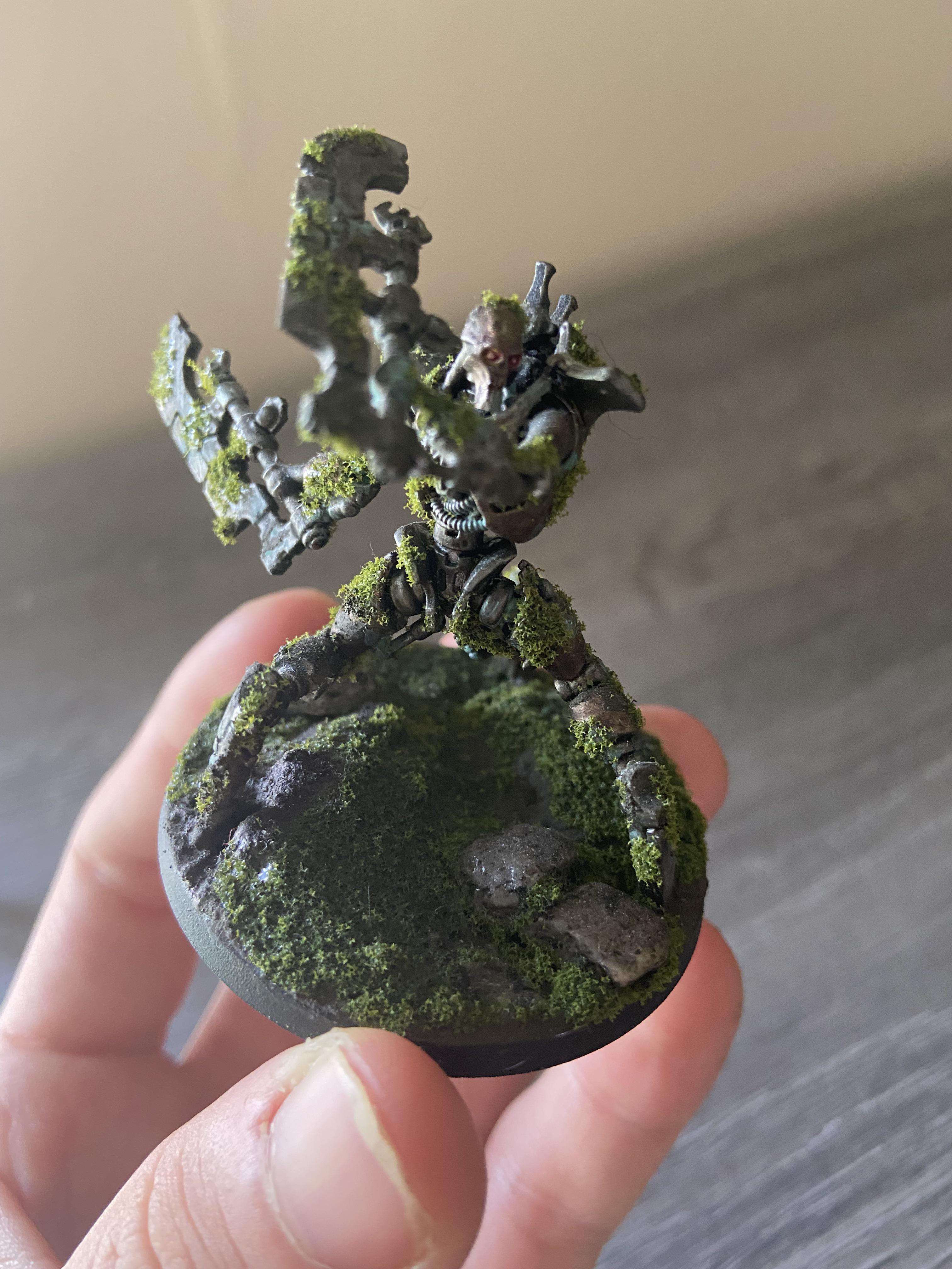 From my first ever model to my most recent models | Scrolller